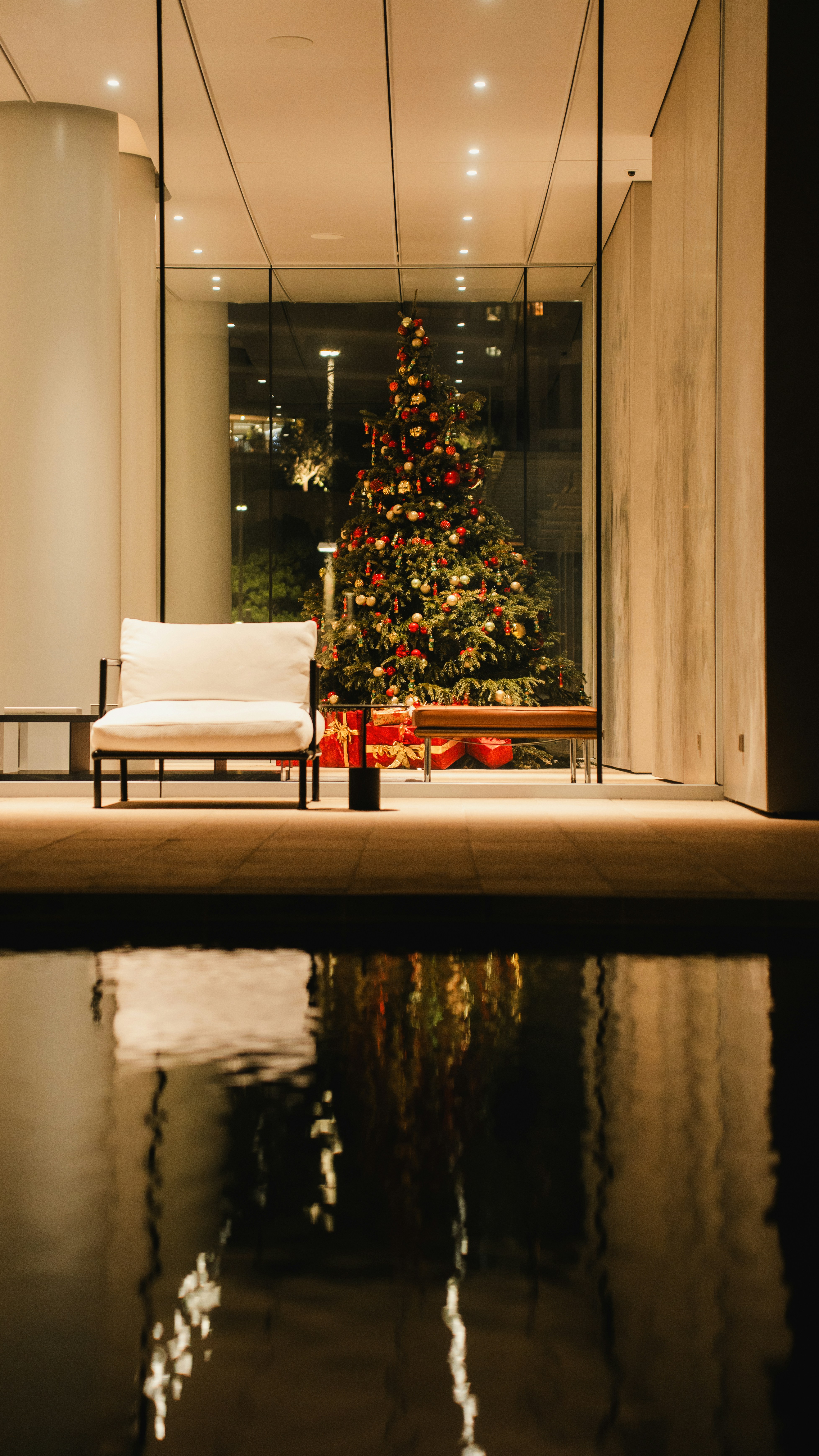 Quiet Holiday Lounge: Christmas Tree reflections by the Pool