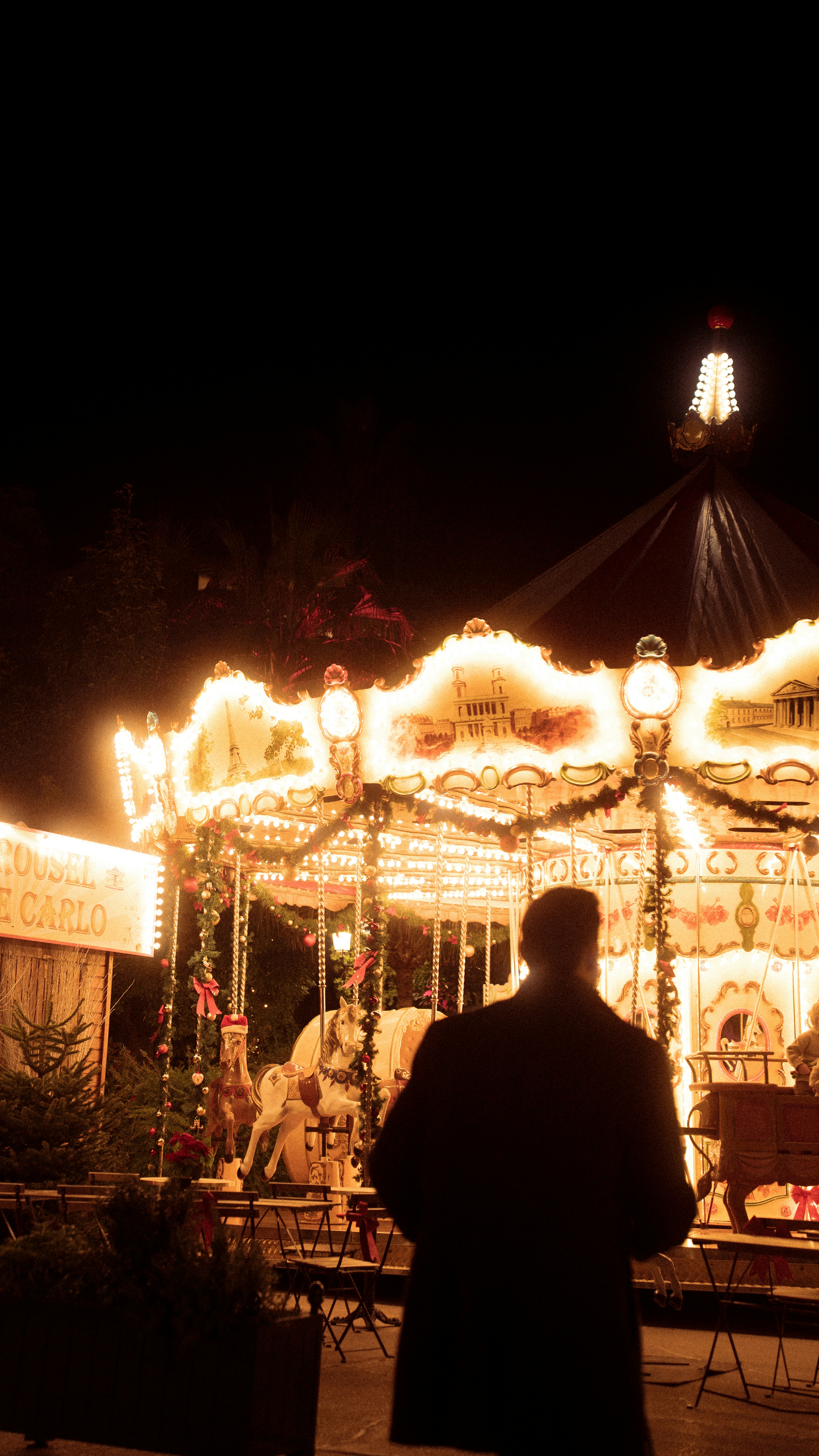 Silhouetted Visitor at the Neon Carousel Night