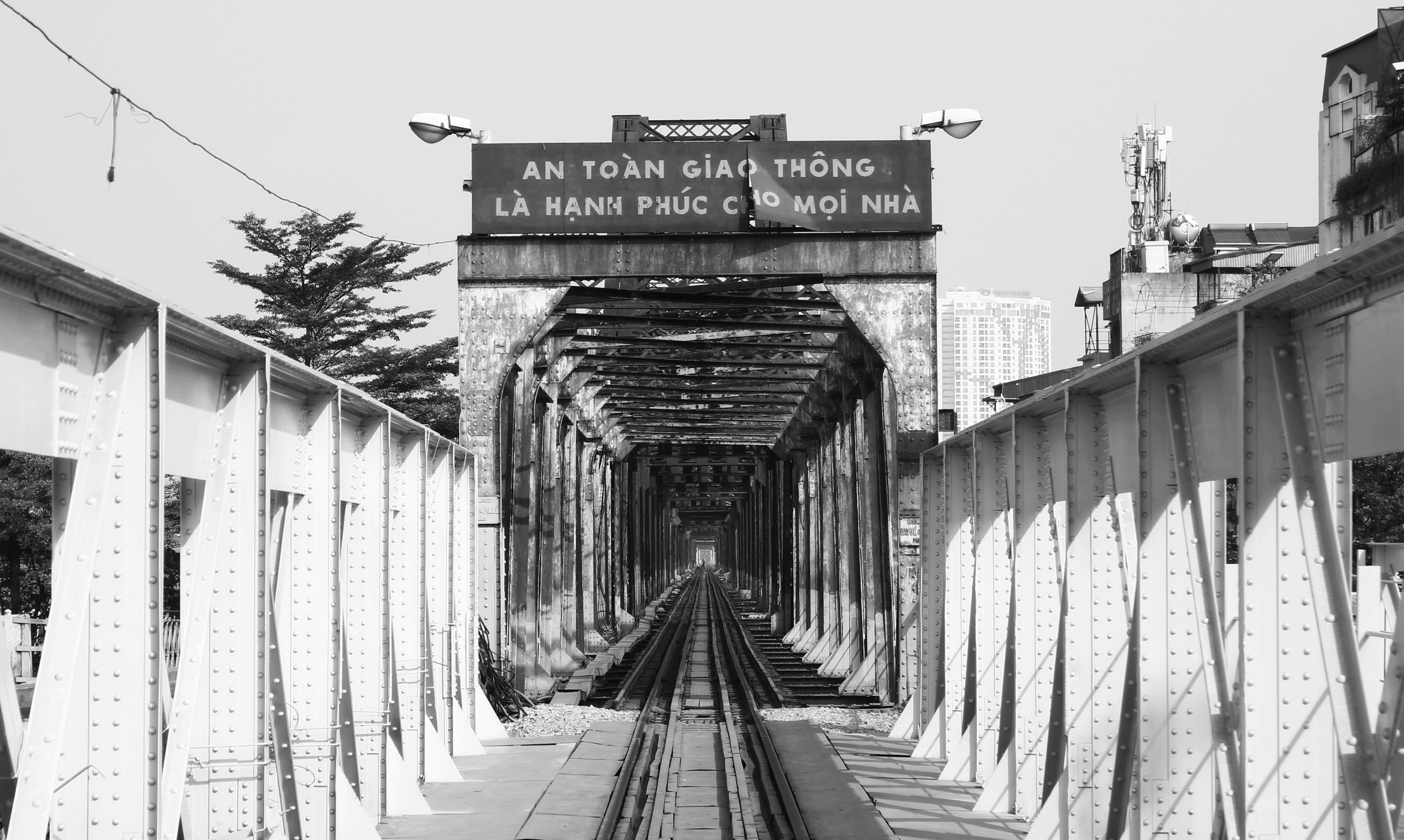Rails through the Shelter: A Monochrome Ascent