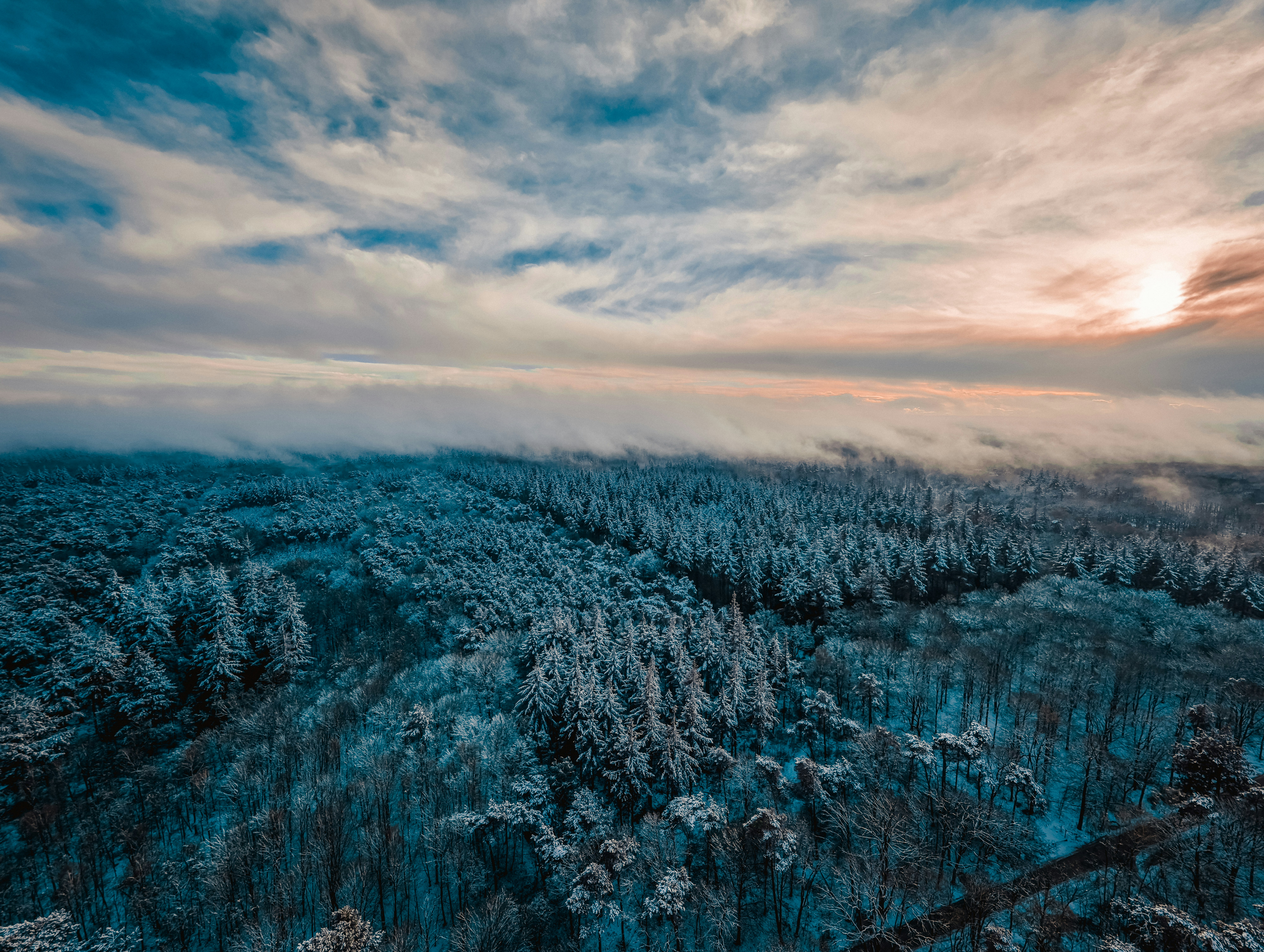 Sunlit Crest Over a Frosted Forest Dawn