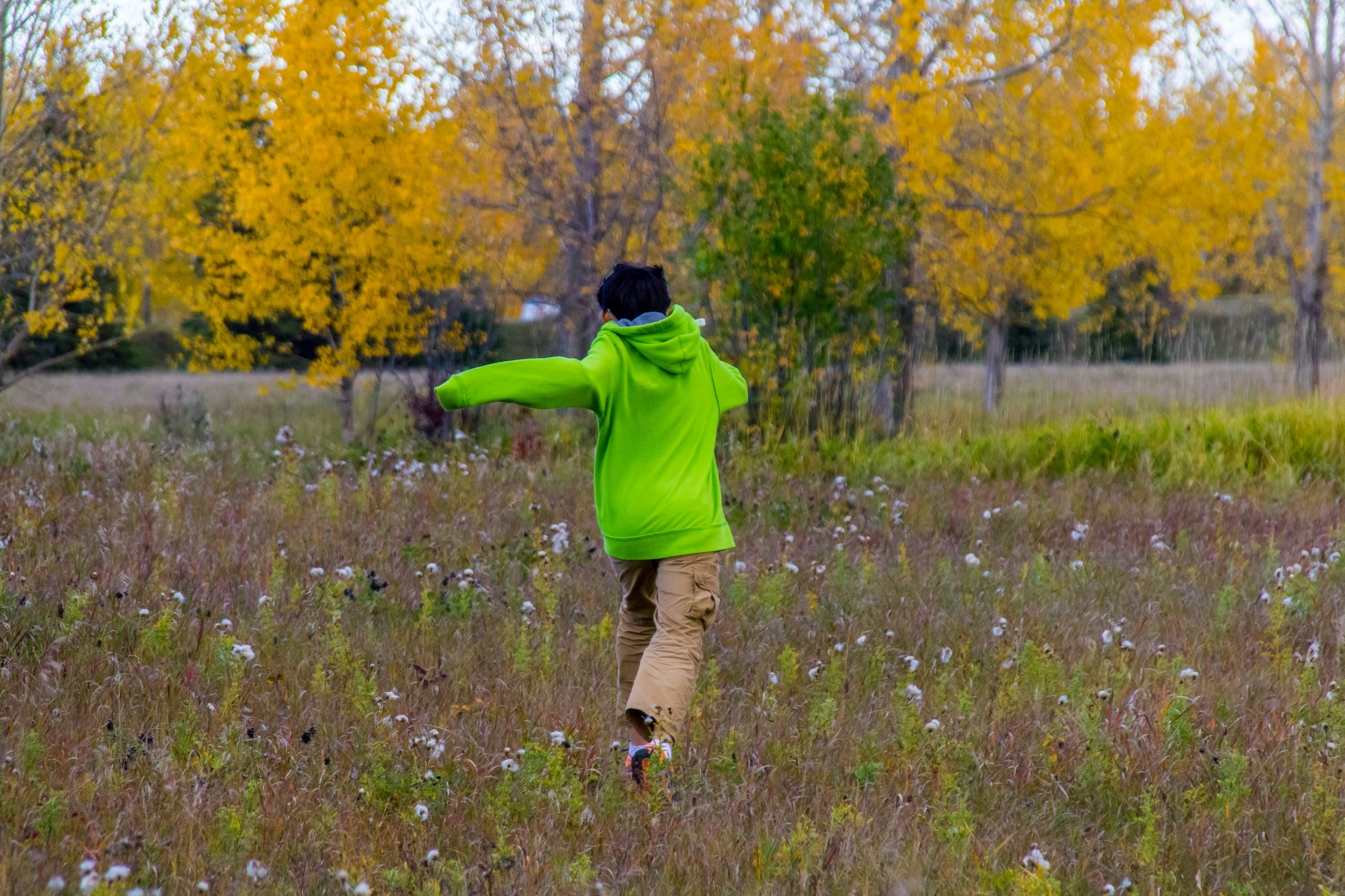 Runner in a Lime Hoodie Dashes Across Autumn Meadow