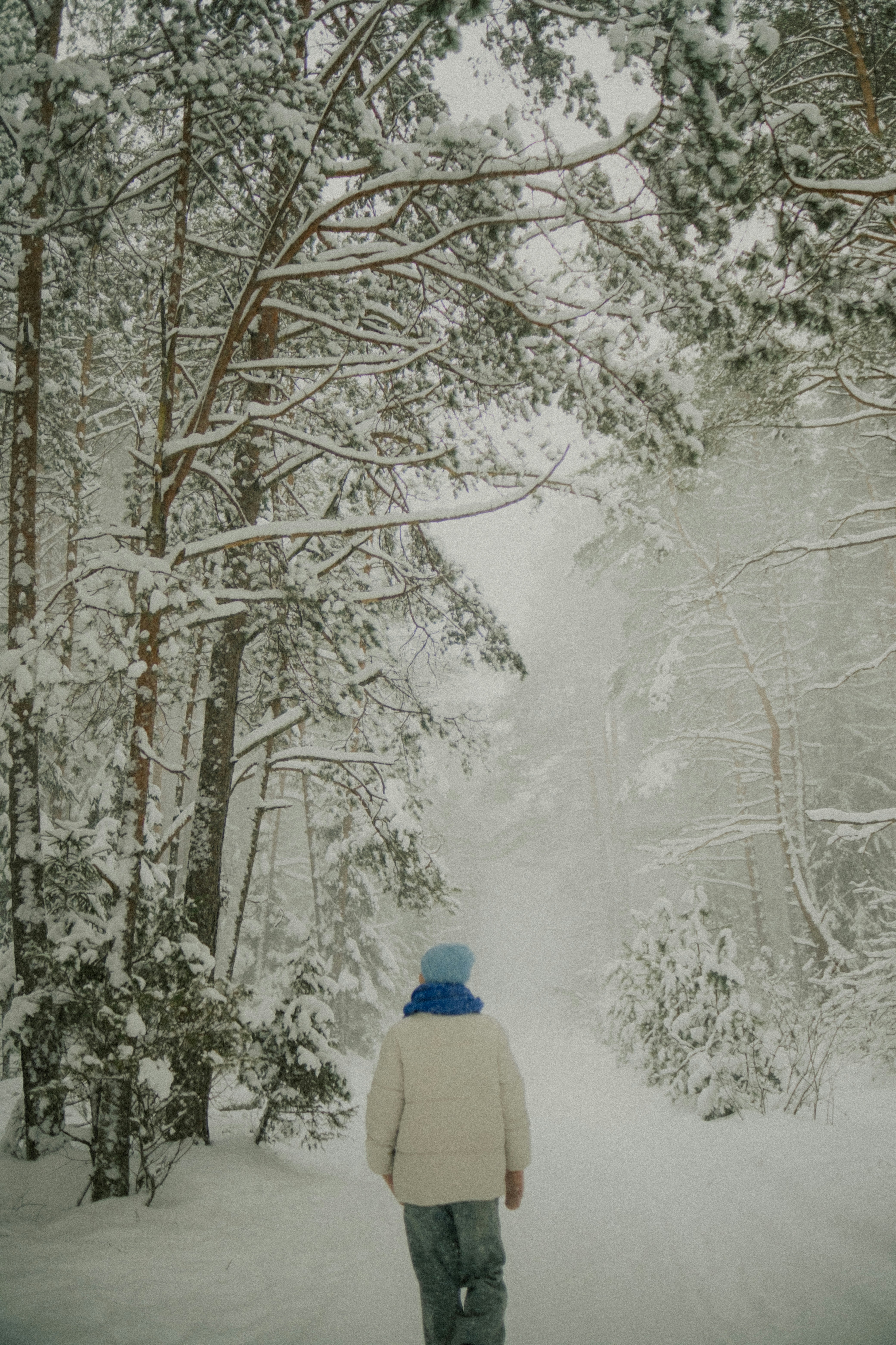 Snowbound Path: A solitary traveler vanishing into a frosted forest