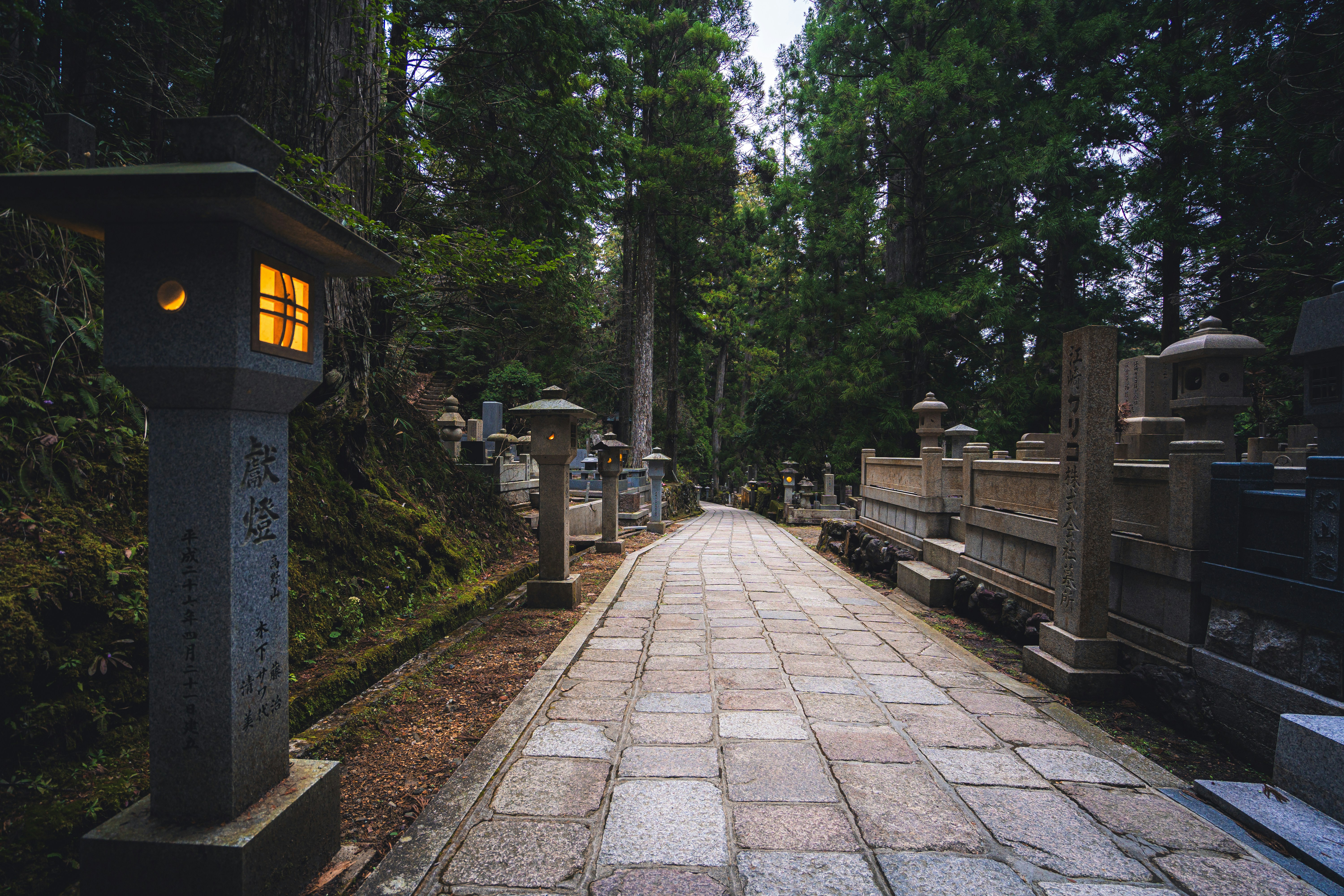 Stone path lined with lanterns and tombstones in forest photo – Free ...