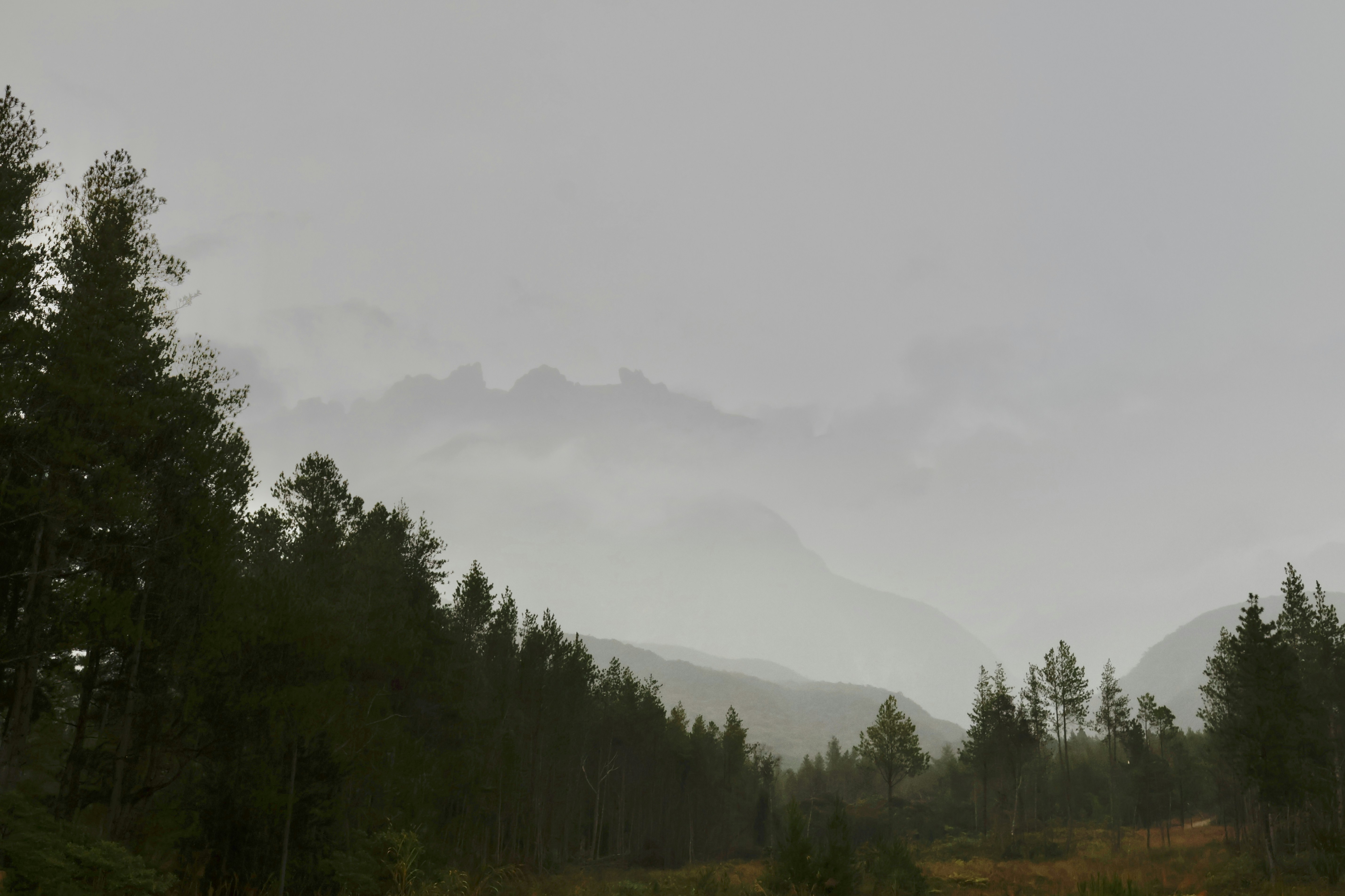 Misty Ridge Overlook at Dusk