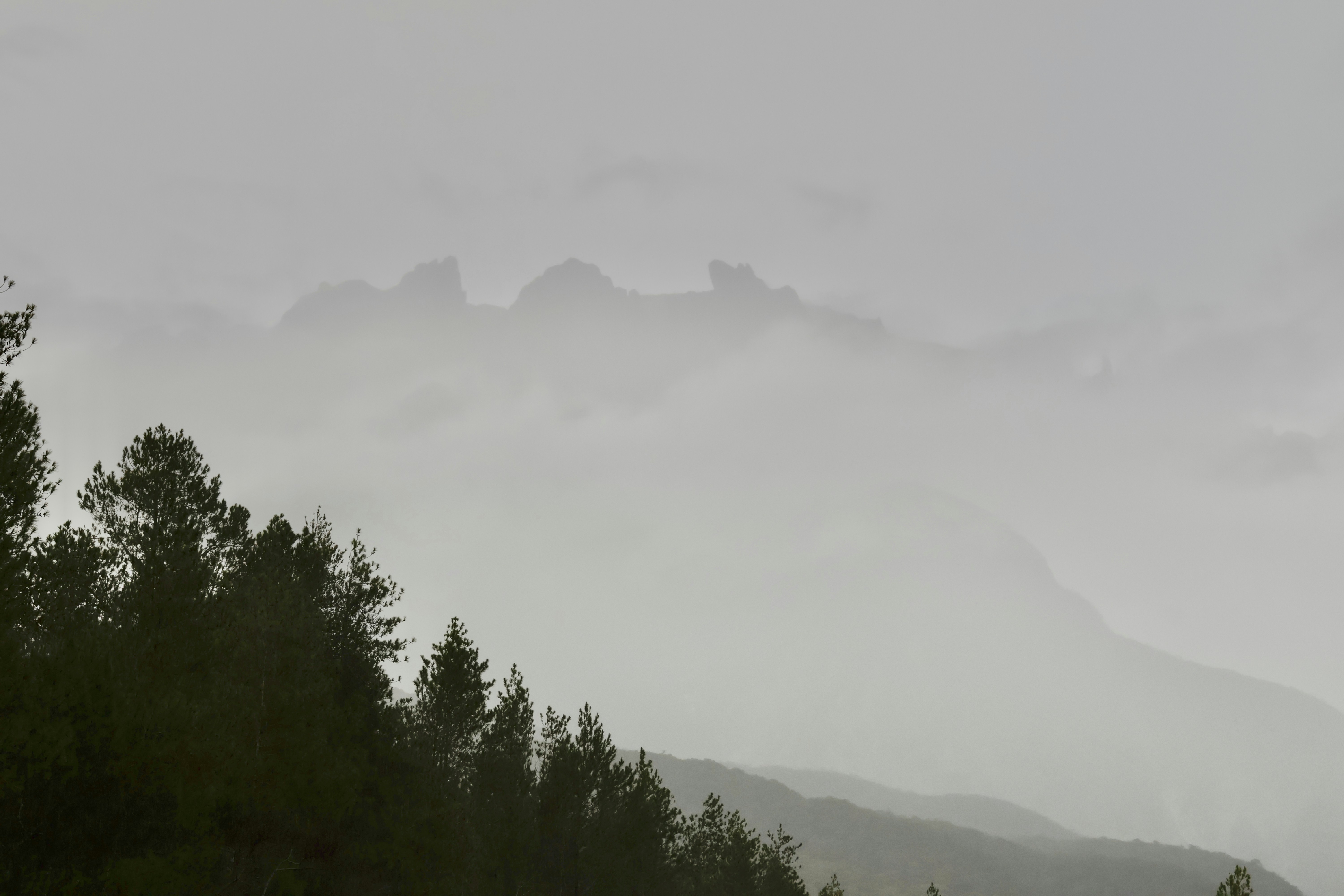 Mist-Laced Peaks Beyond a Quiet Forest Ridge
