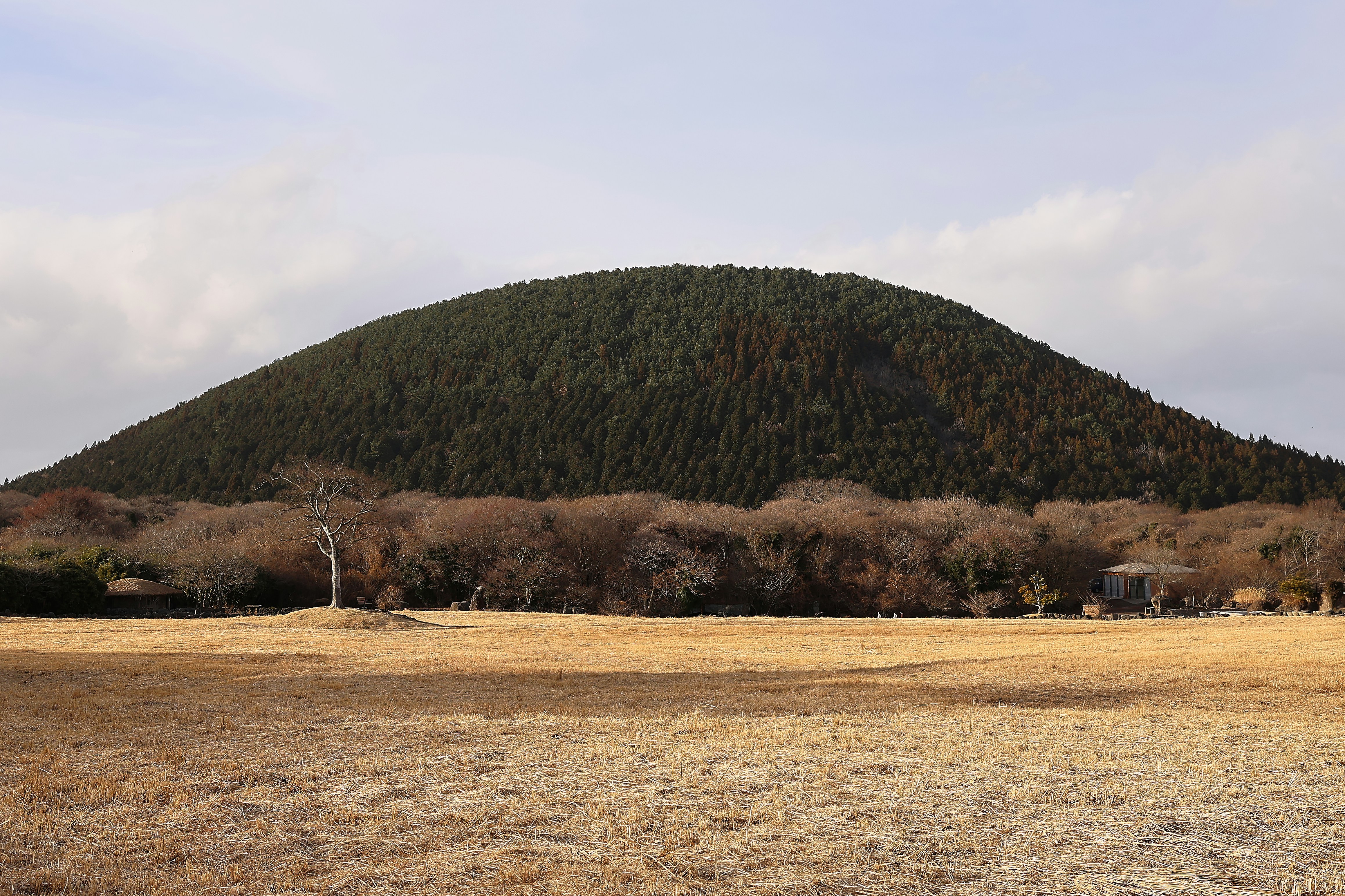 Mugene Hill: A Quiet Tract Beneath the Broad Sky