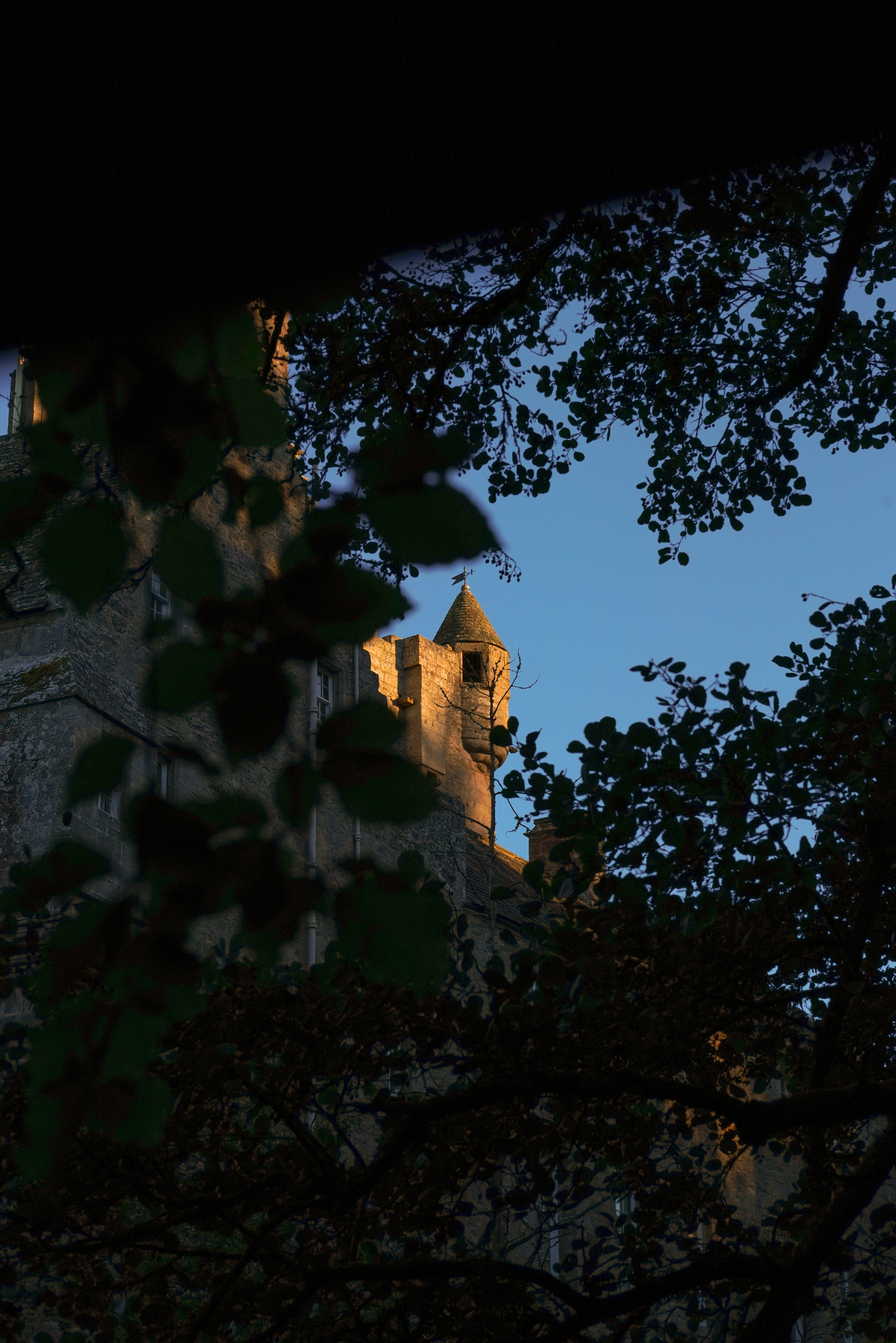 Castle Turret Bordered by Nightfall Foliage