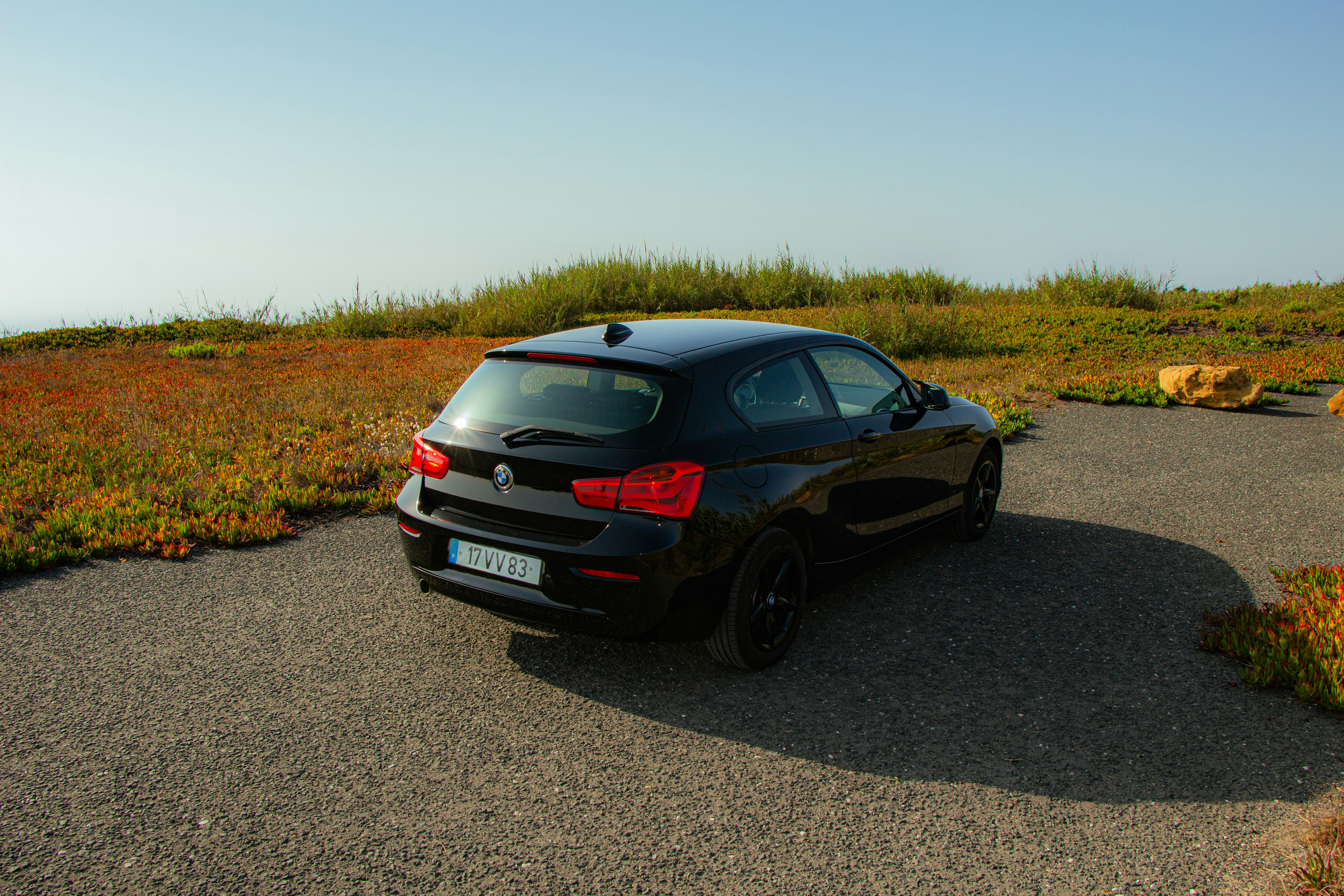 Shadowed Compact at the Edge of a Wildflower Plain
