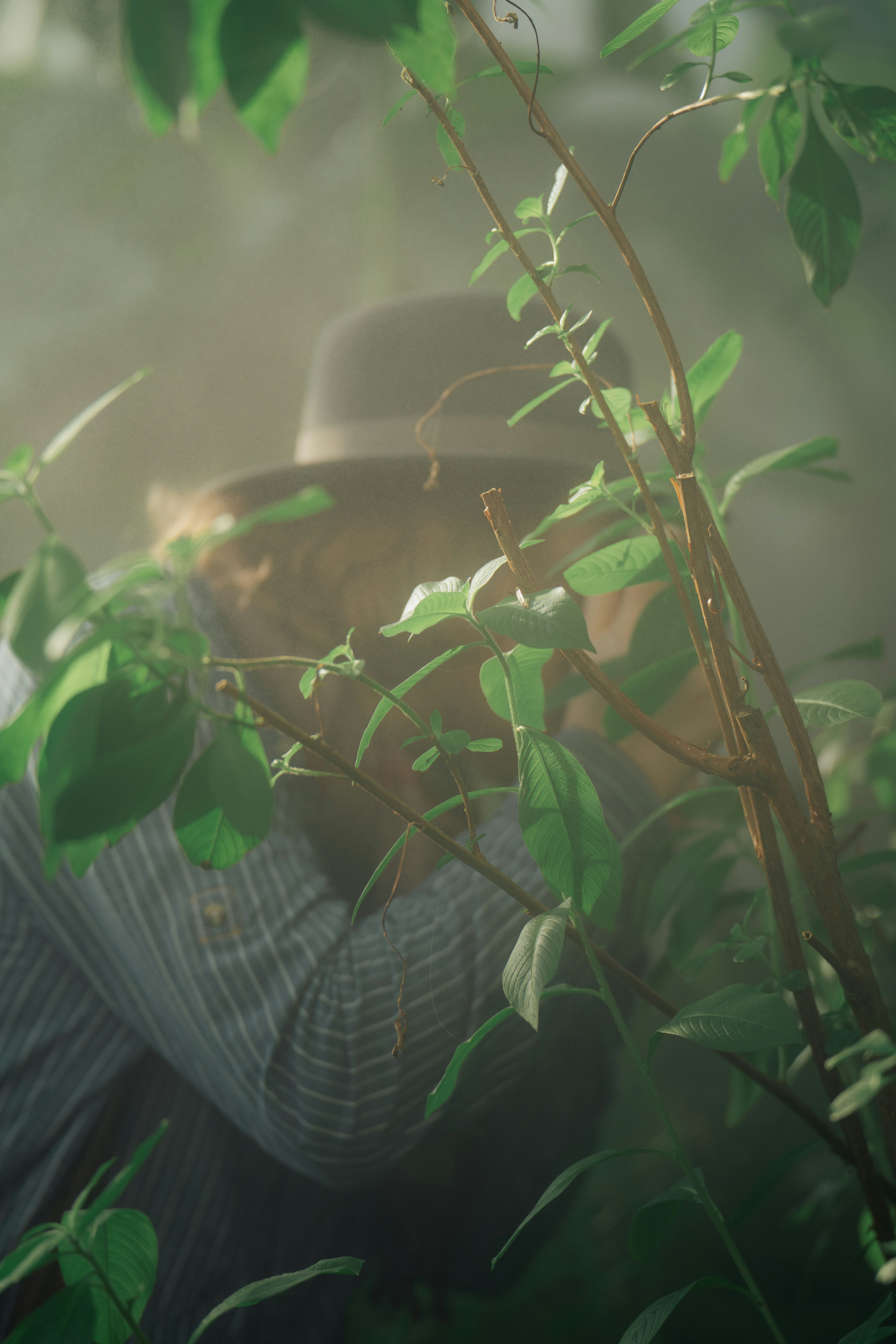Hidden Portrait: A Hat, a Face, and Veiled Light