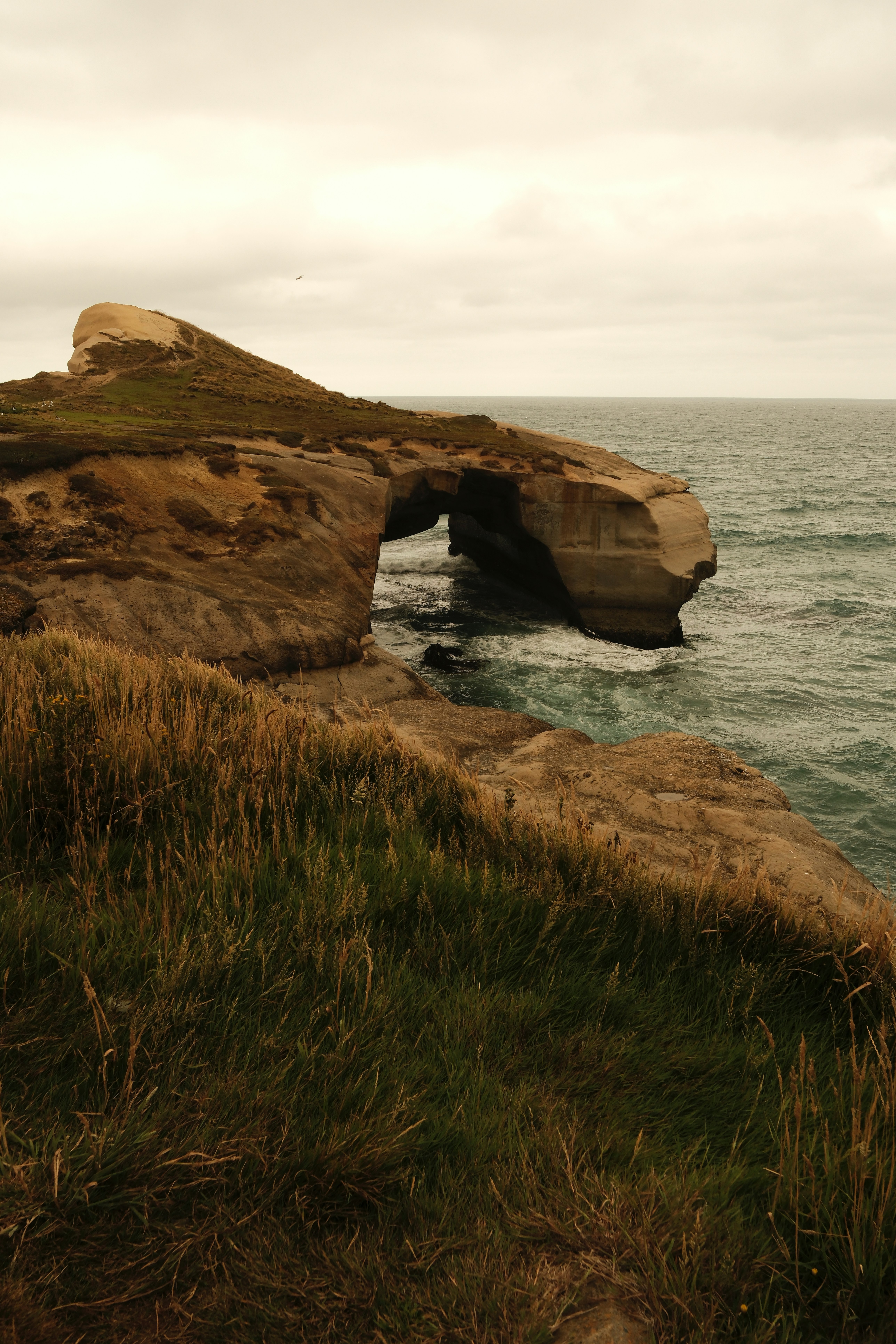 Arche rocheuse côtière avec vagues océaniques et premier plan herbeux ...
