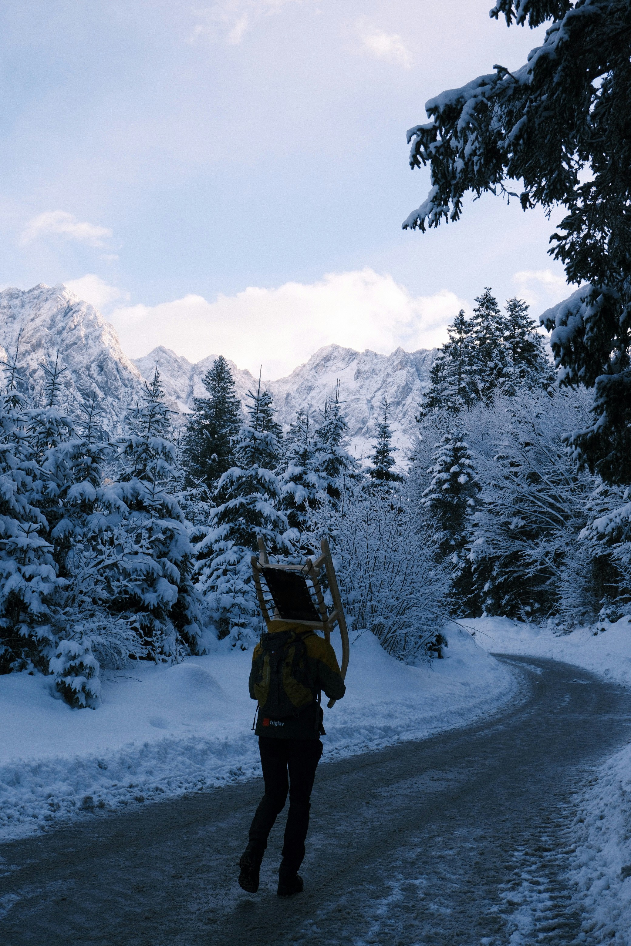 Winter Walker Carrying a Framed Forest through Snowy Pines