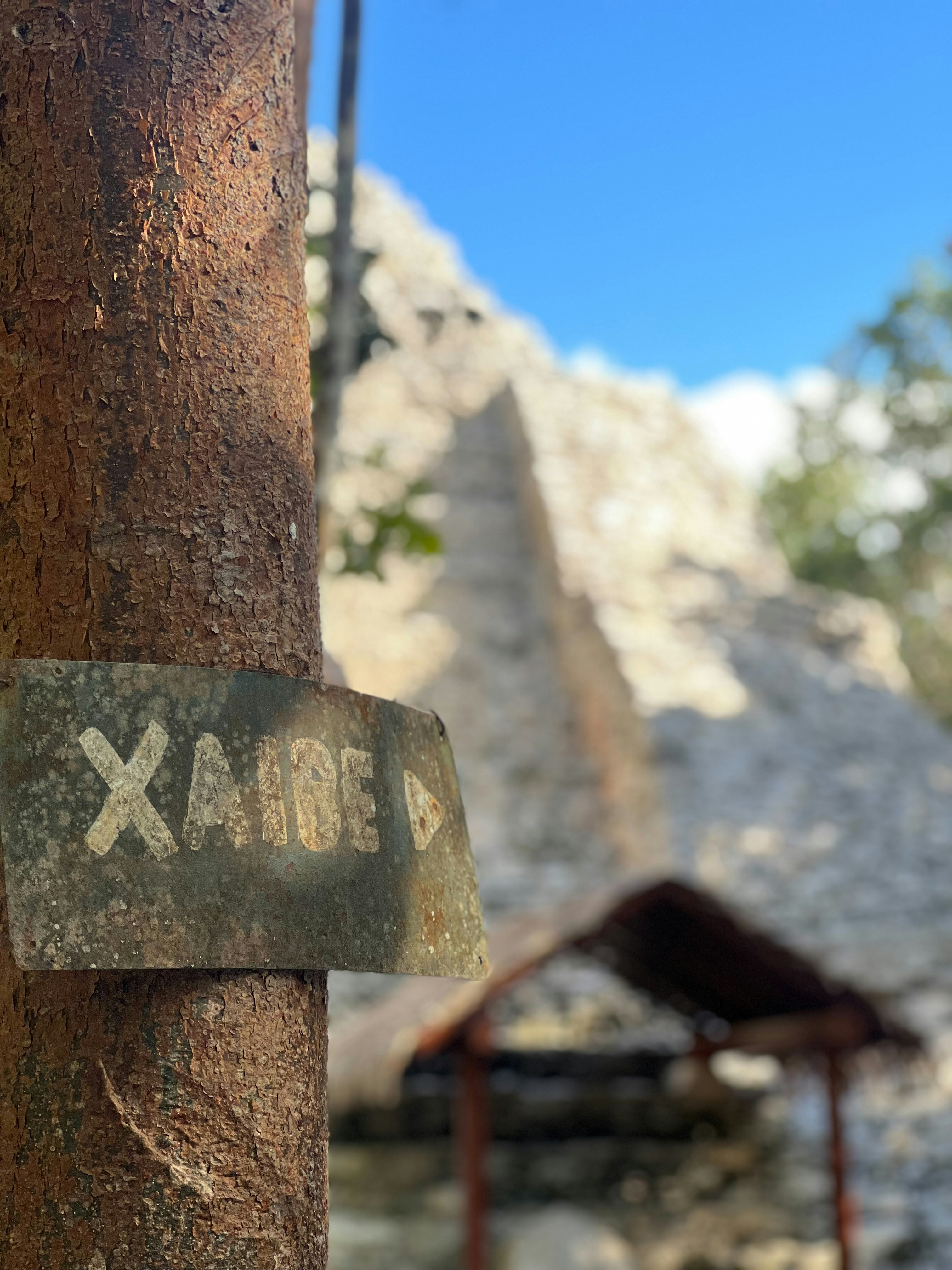 Rusted Banner on a Timeworn Tree Enclosing an Ancient Stone Structure