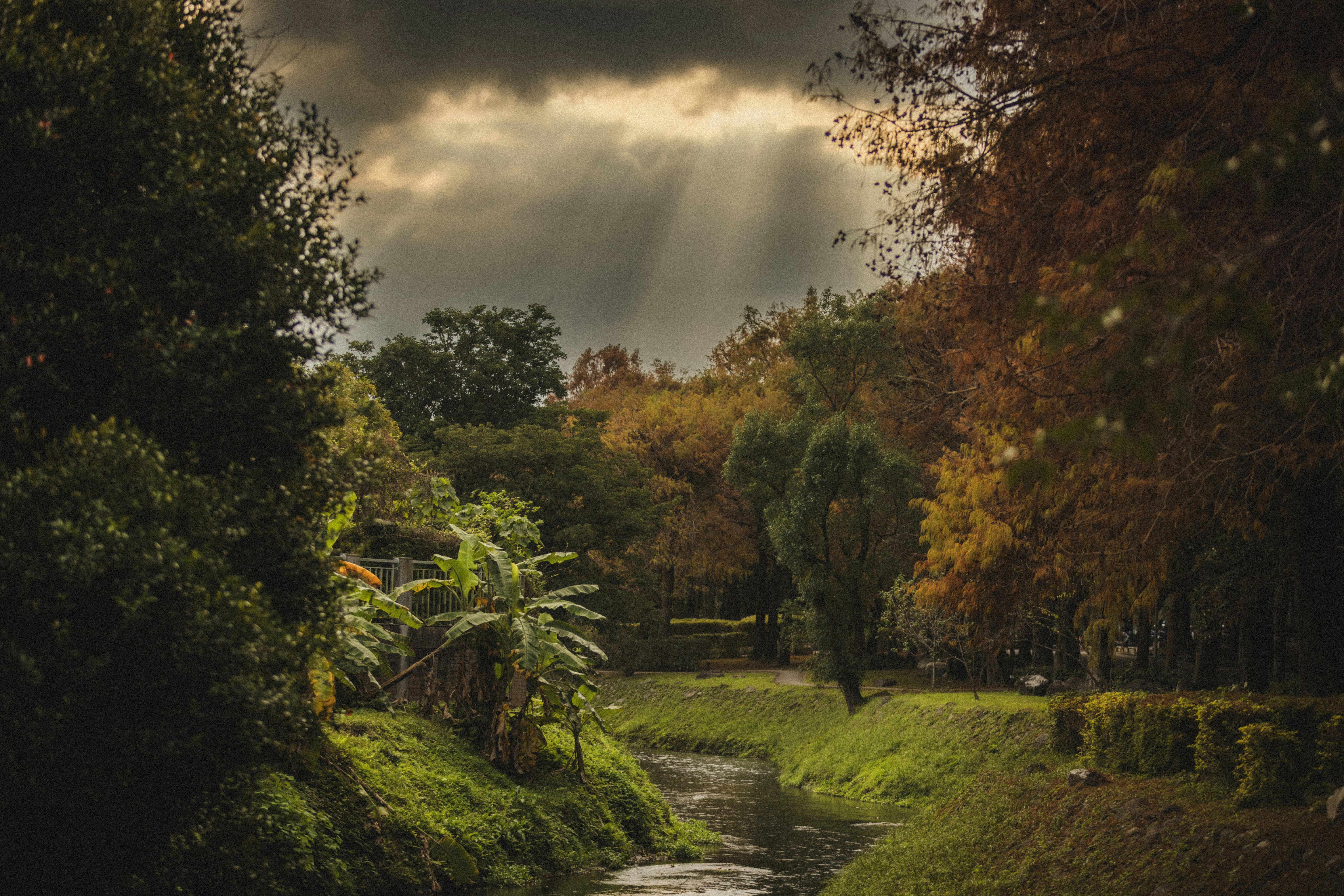 Sunlit Pathway Through Autumn Vale
