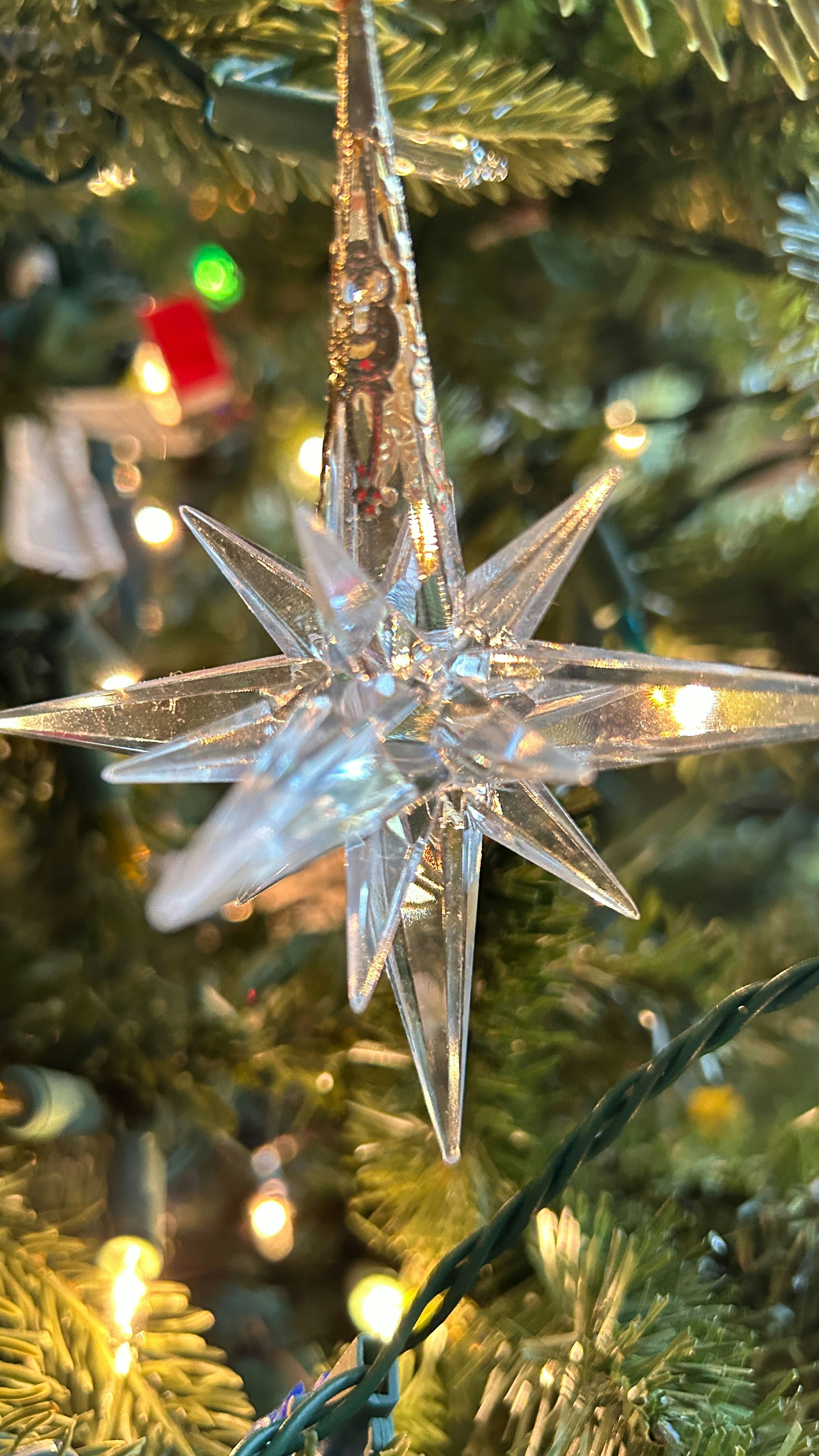 Crystal Star on a Christmas Green