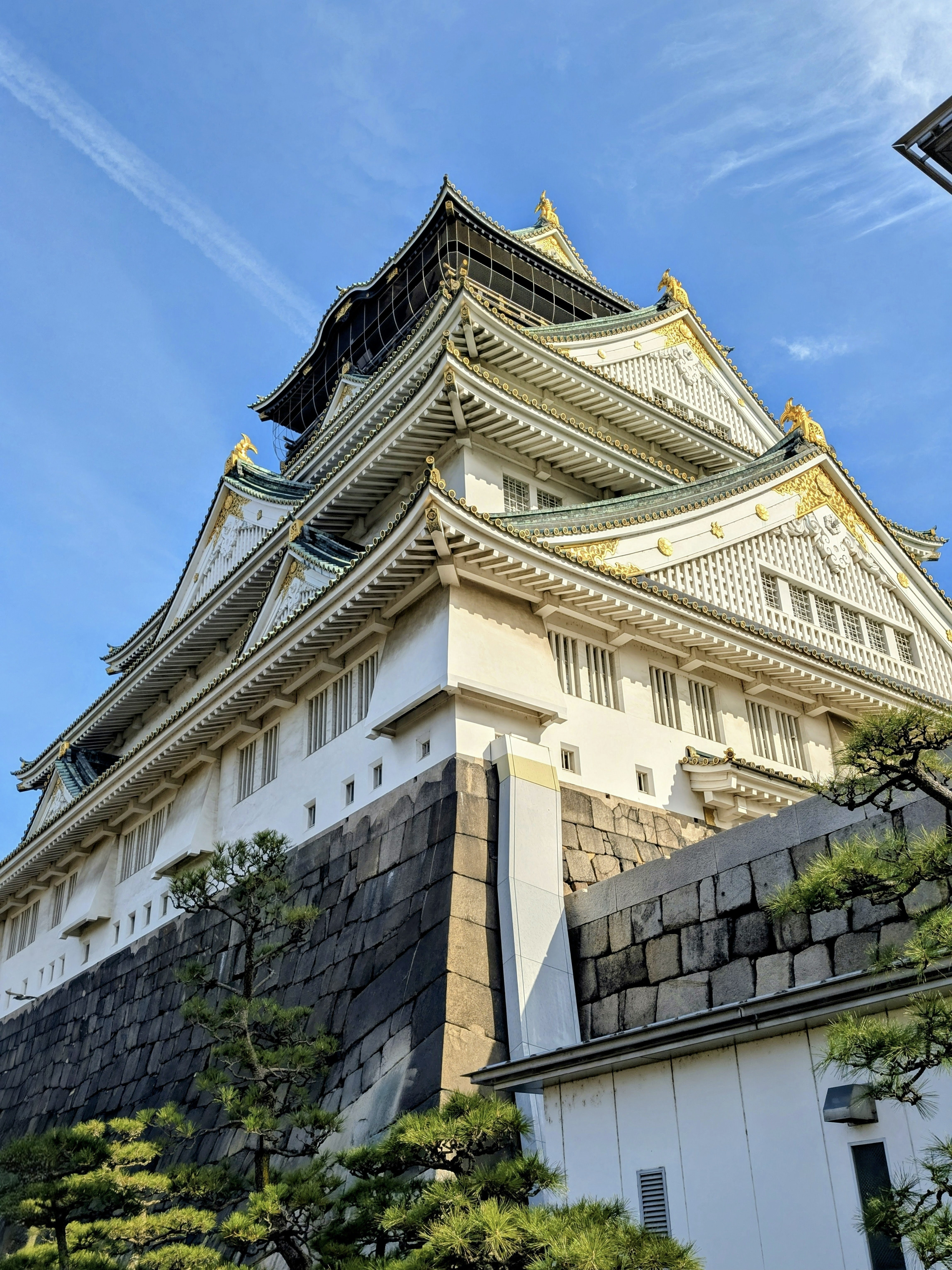 Golden Rooflines and Stone Strength: A Slide into Osaka Castle