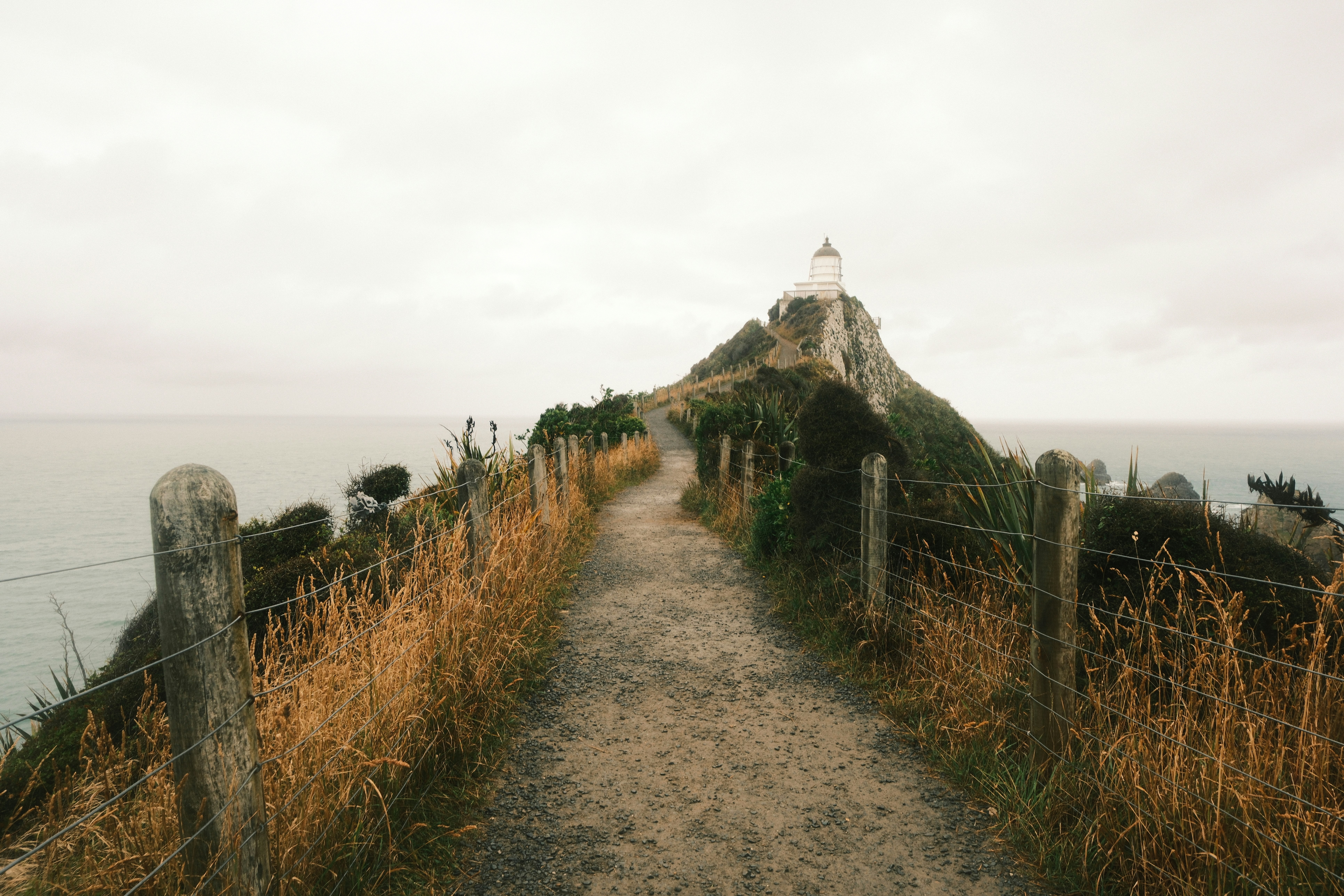Path to the Lighthouse: A Coastal Ascent