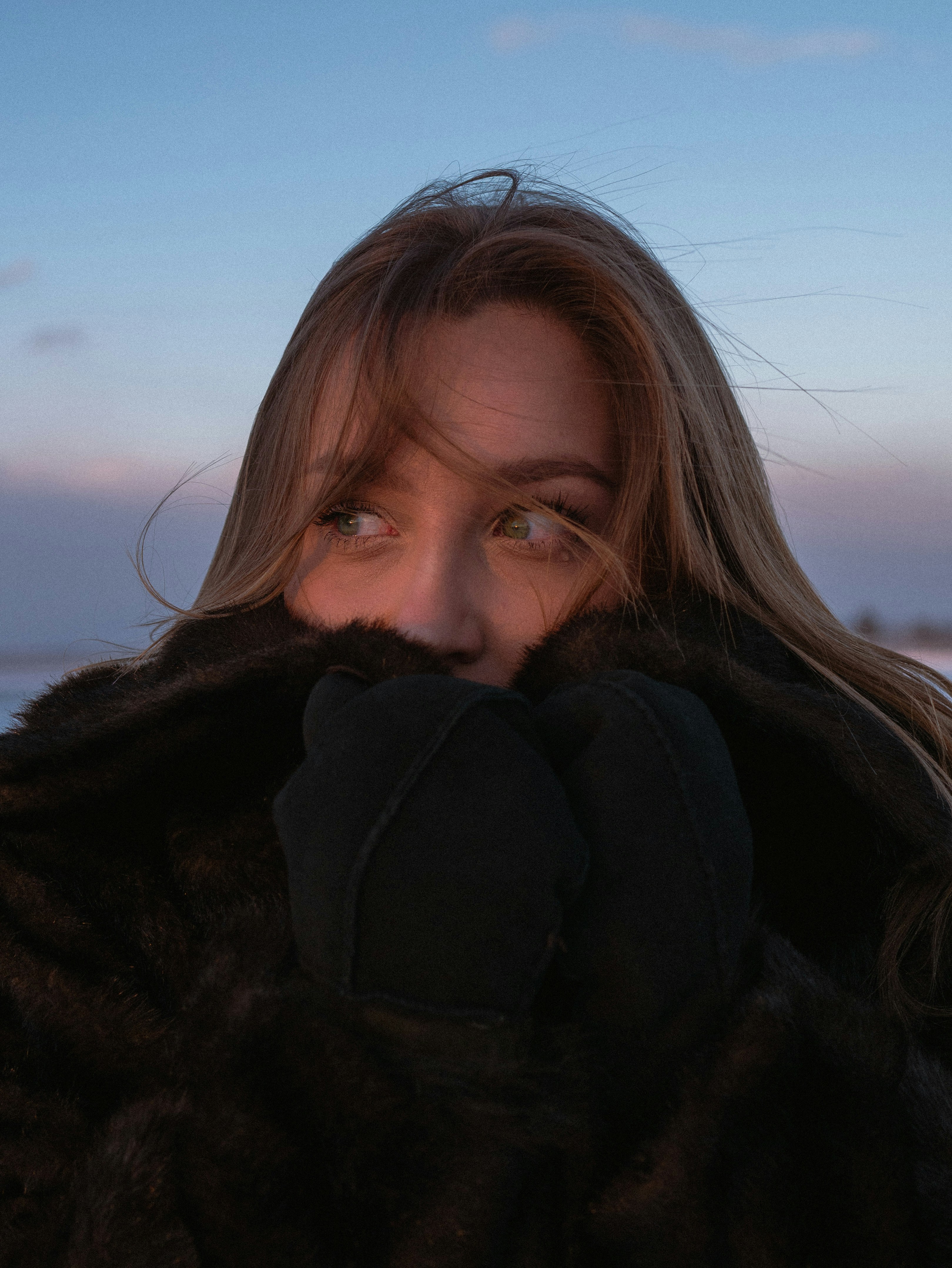 Whisper of Winter Breath: Eyes Above the Fur