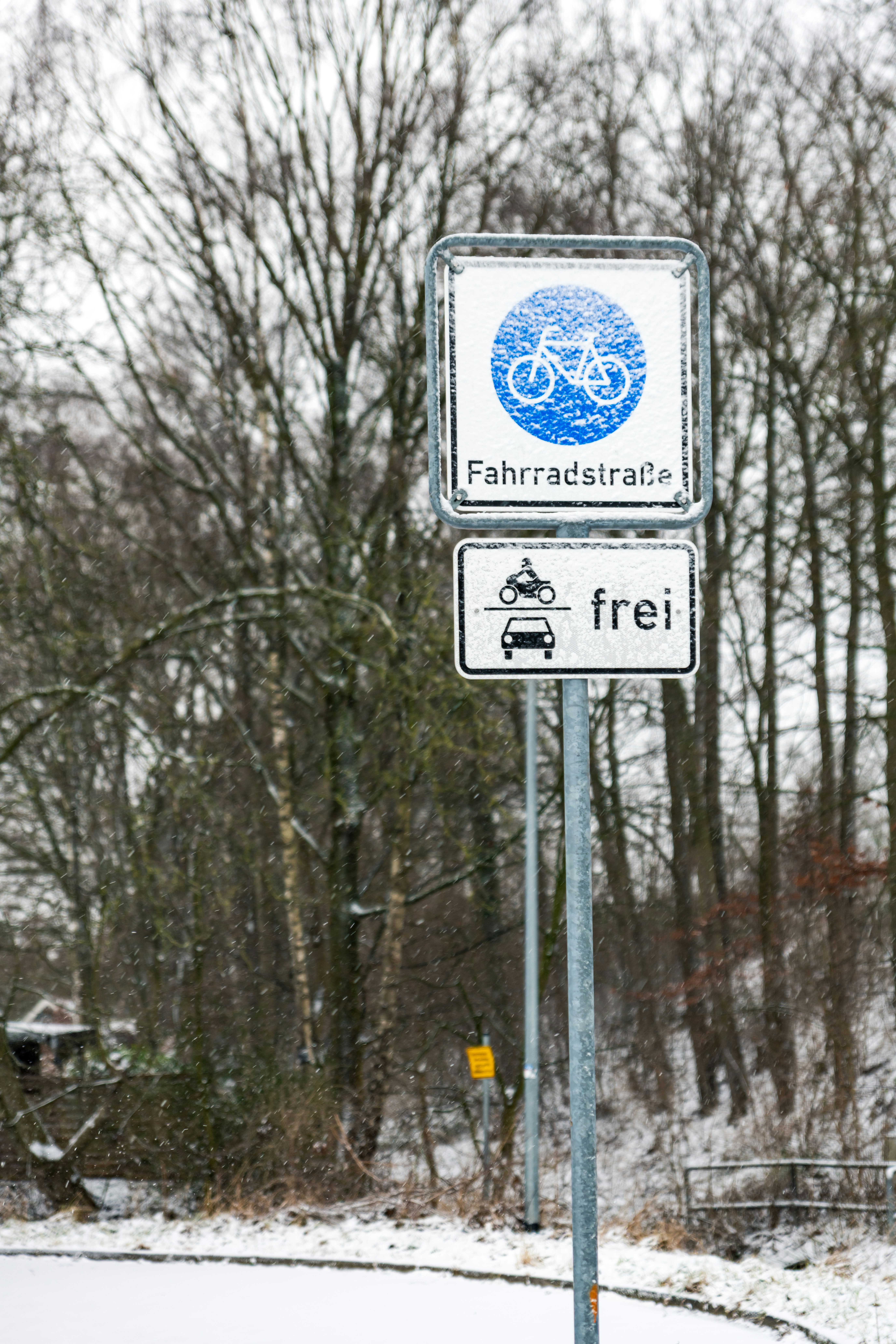 Signpost in a Snowy Park: Bikes and Cars Granted Access