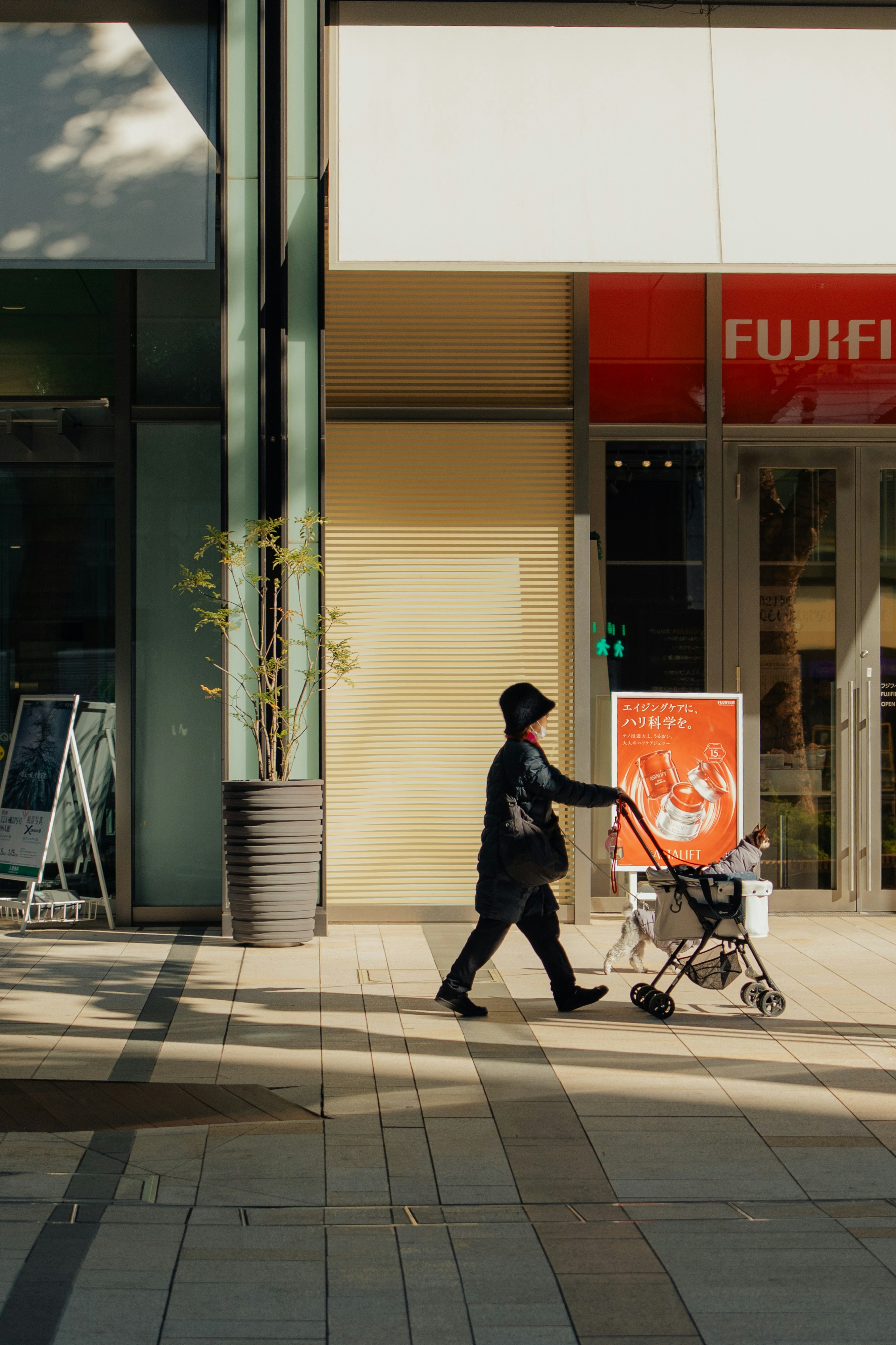 Passing Glance: A Shopper Pushes Through Early Afternoon Quiet