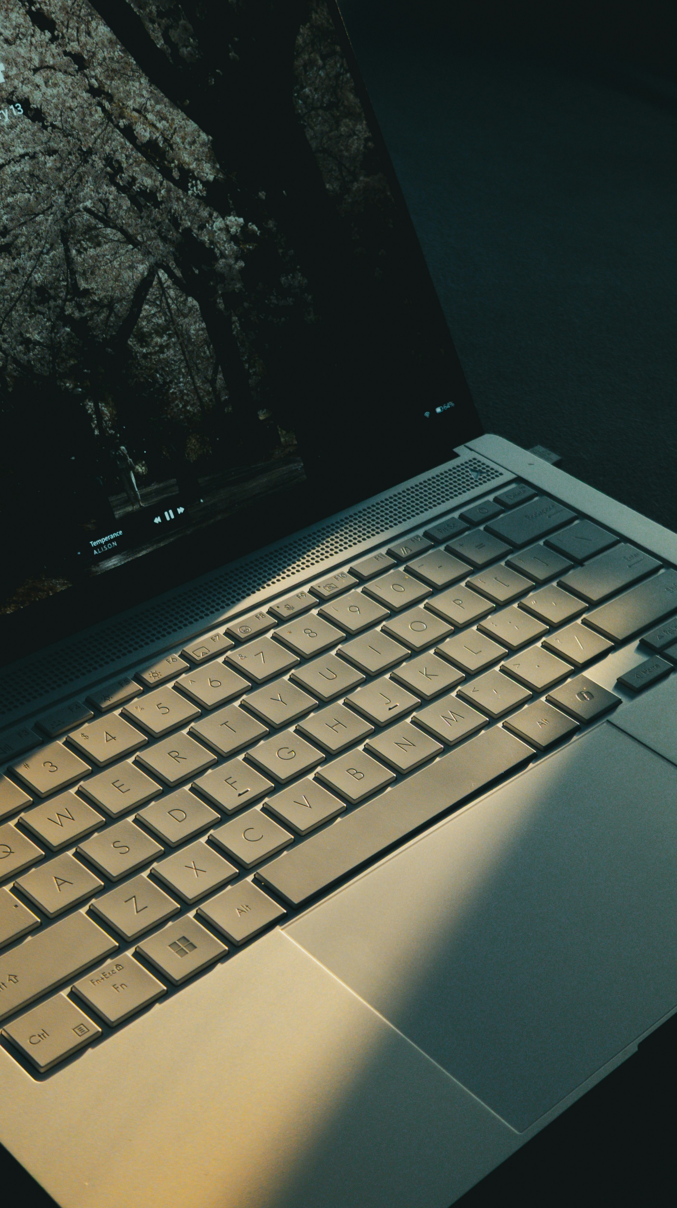 Backlit Keys, Silver Screen: Morning Light on a Laptop Keyboard