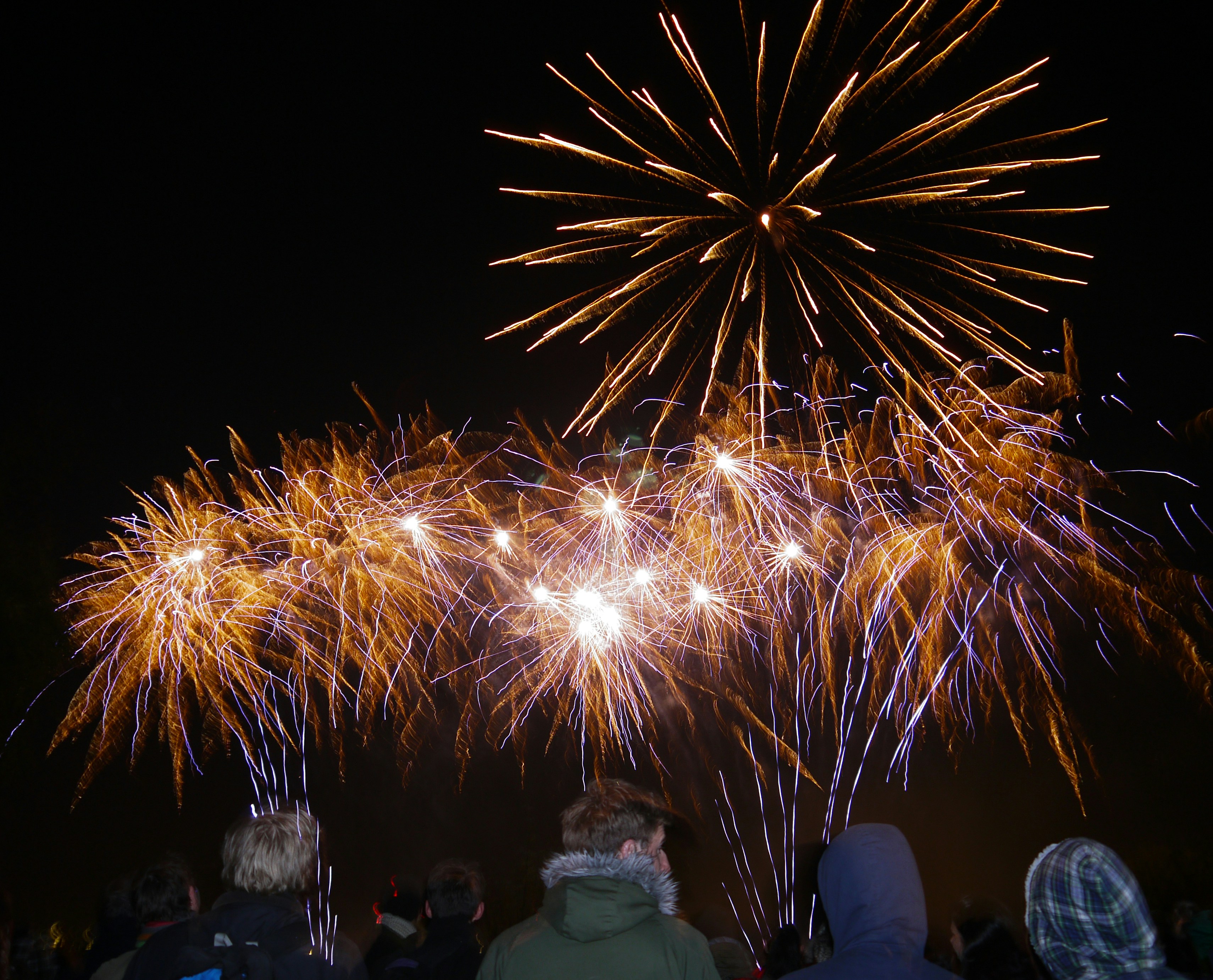 People watching fireworks at night