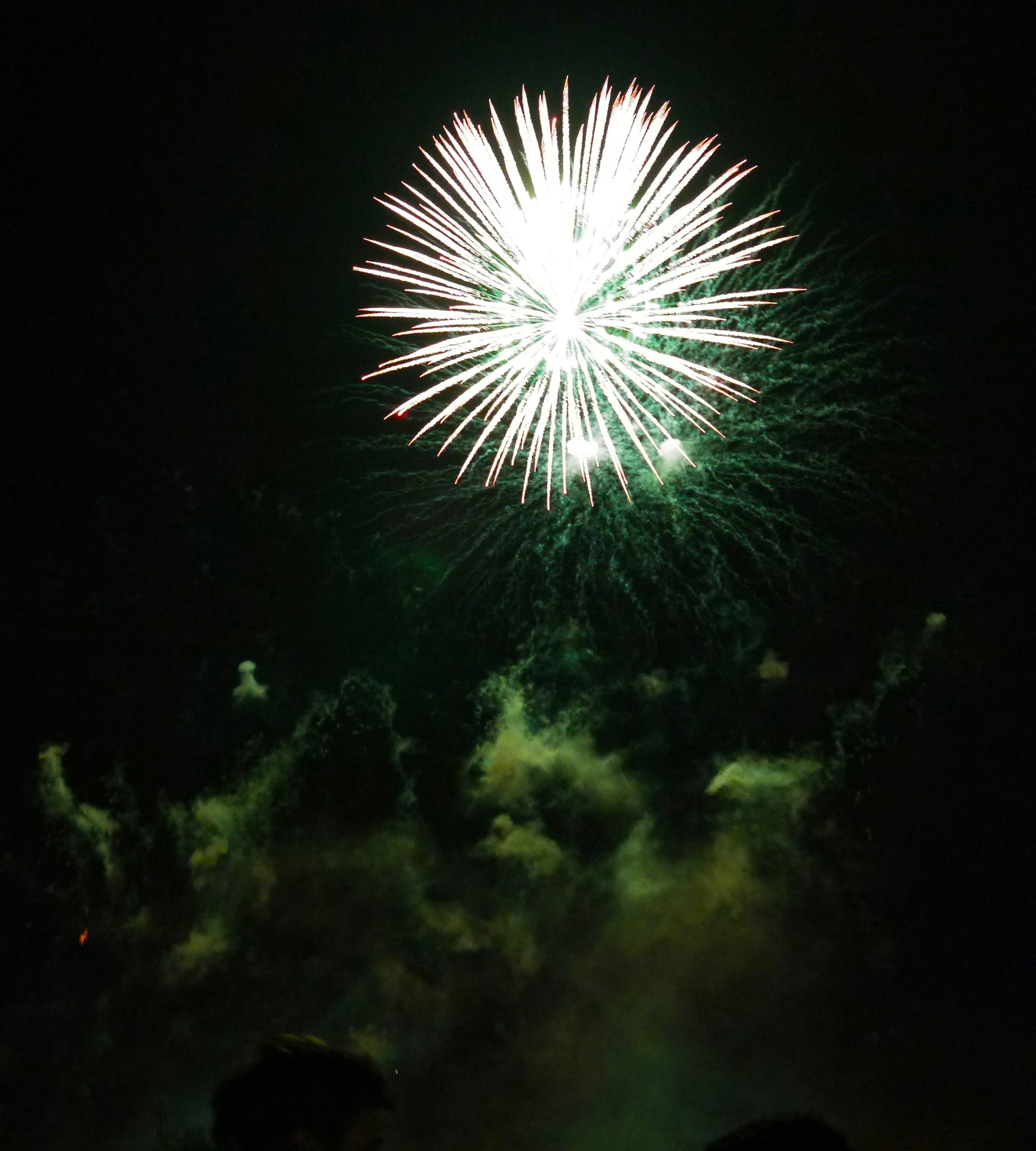 White fireworks explode in the night sky.