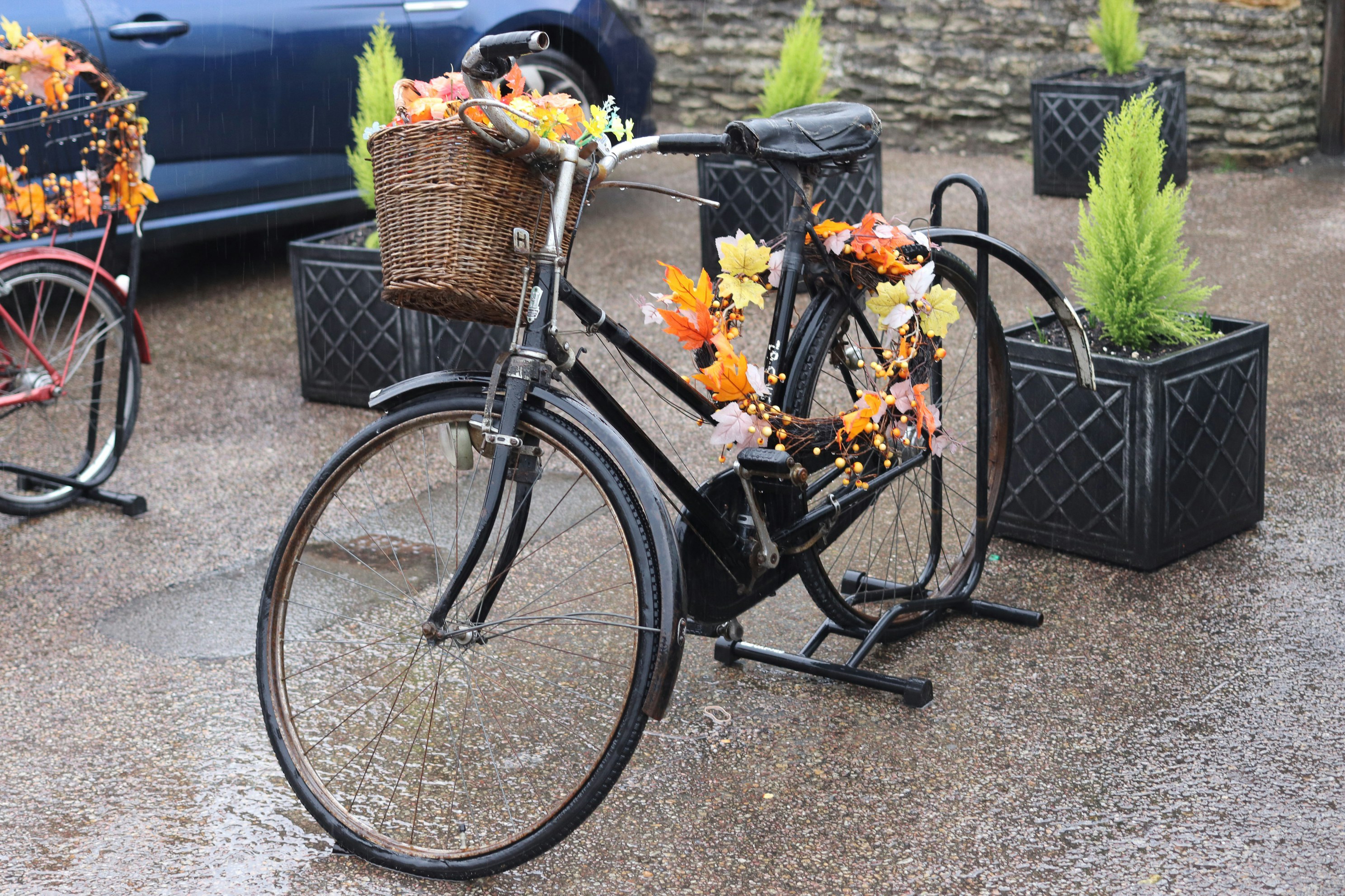 Floral-topped Pedal Power: A Decorated Vintage Bicycle Resting by Planters