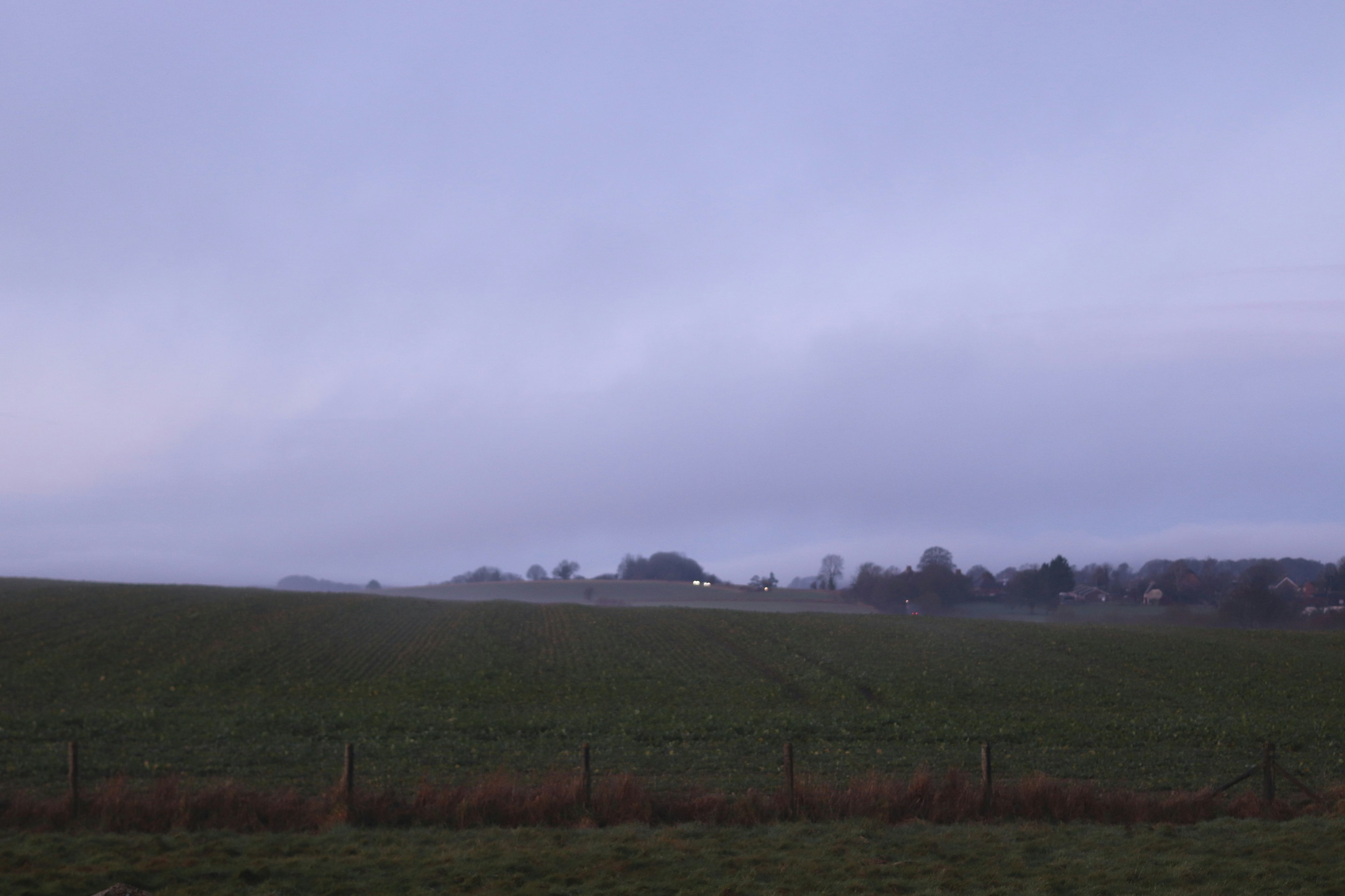 Horizon Field Under a Quiet Purple Sky