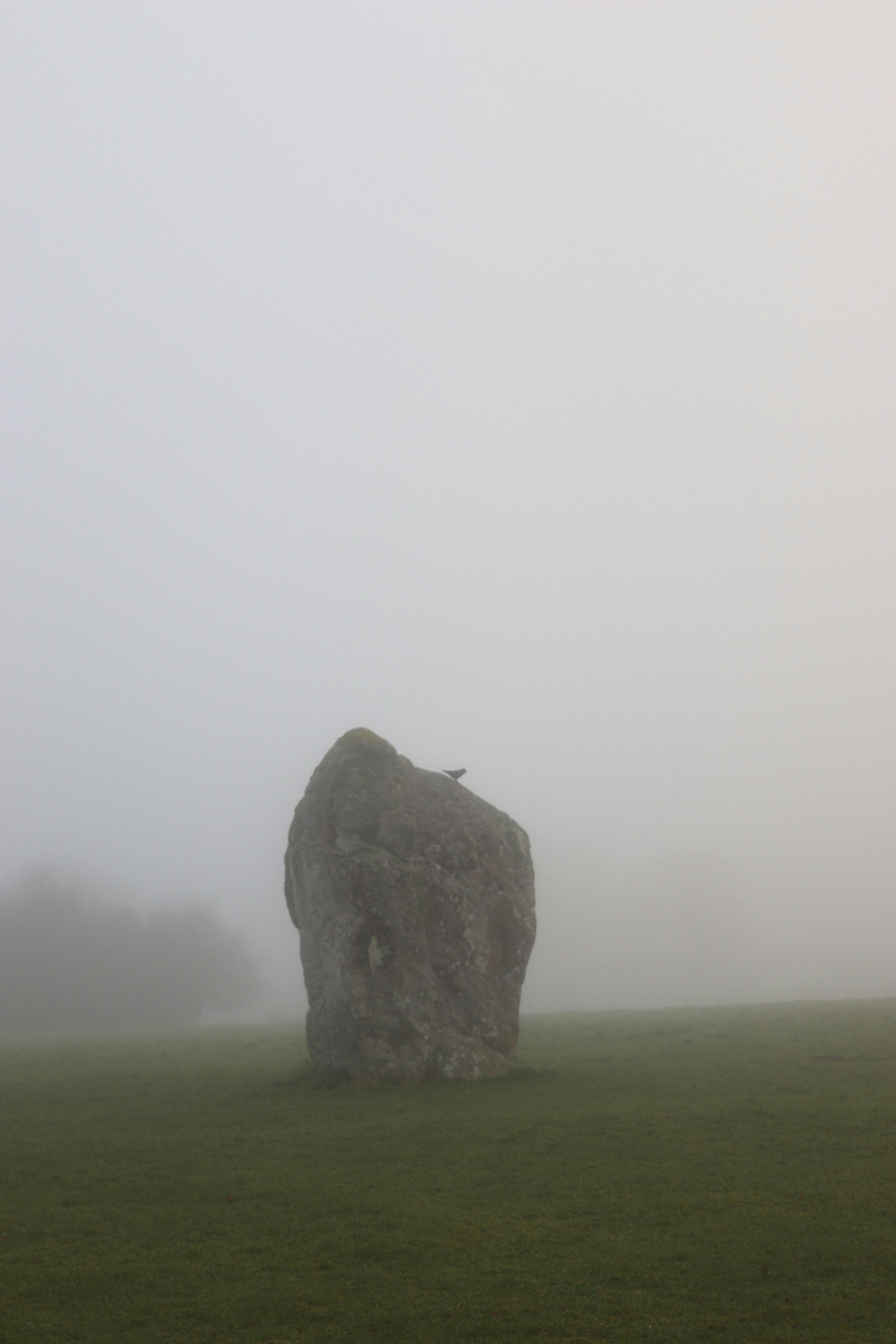 Misty Sentinel: A Lone Stone in Quiet Grass