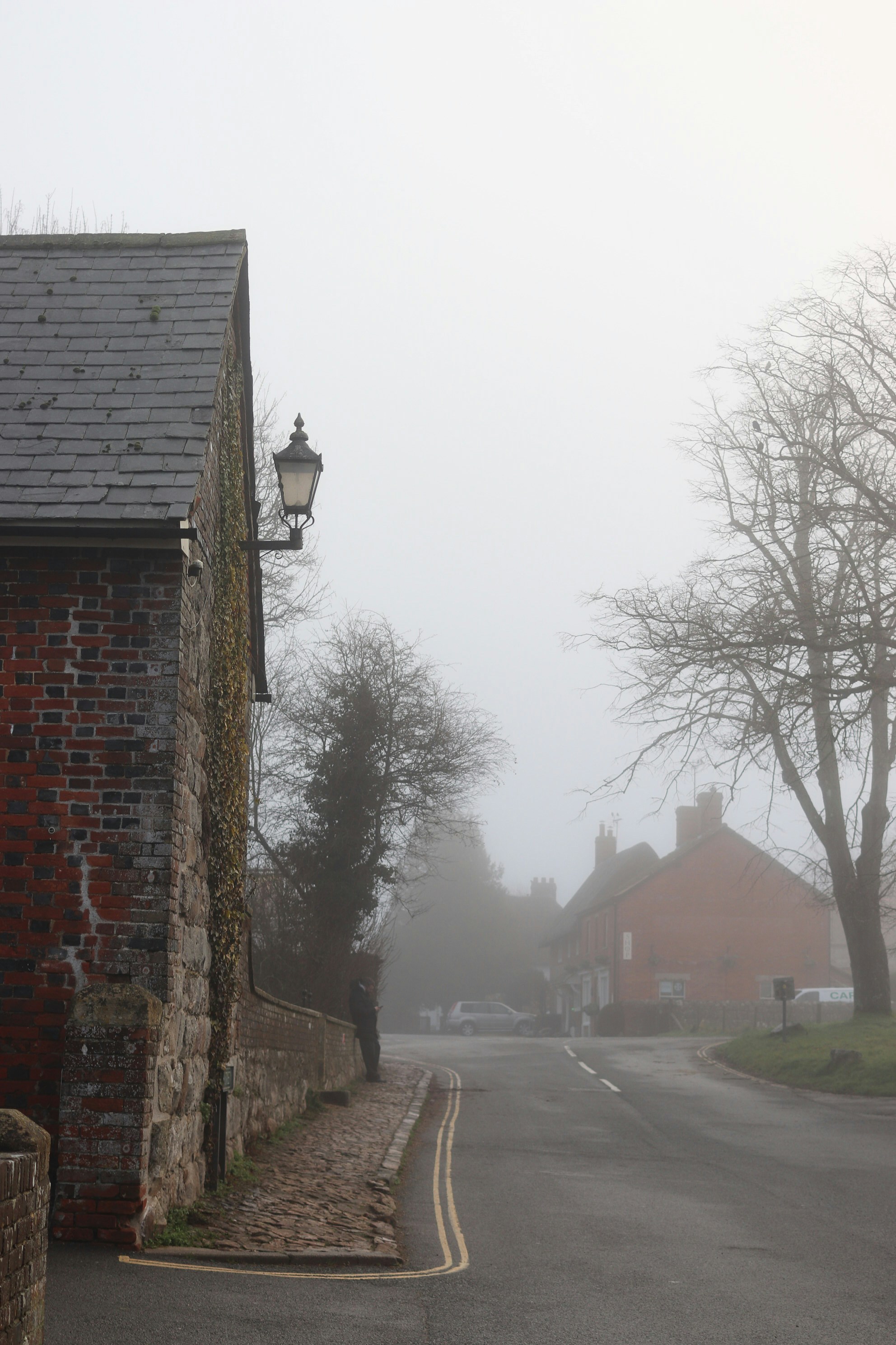 Fog-Kissed Lane: A Quiet Village Morning