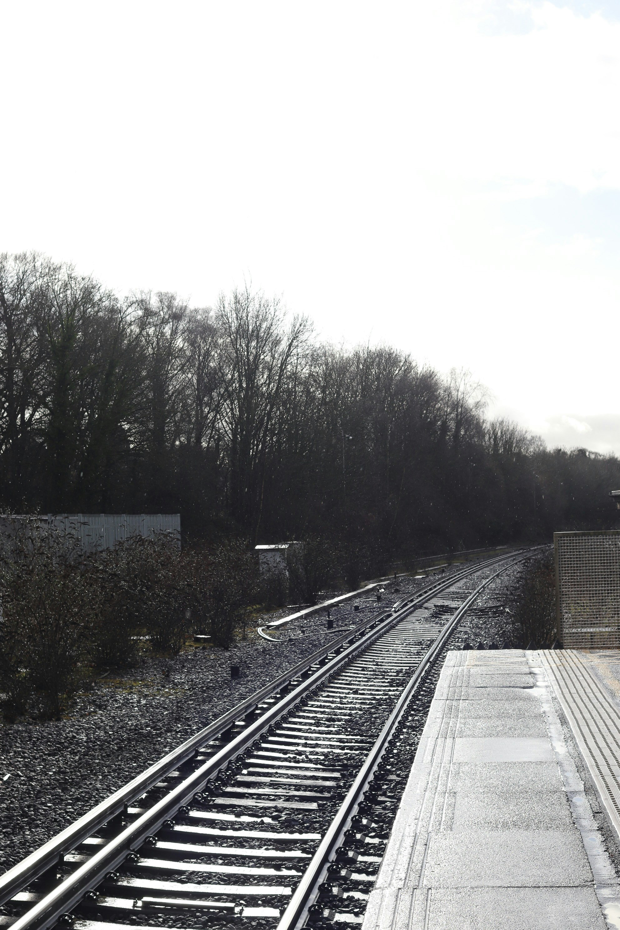 Railway Stretch into the Forest: Quiet Tracks at Dusk