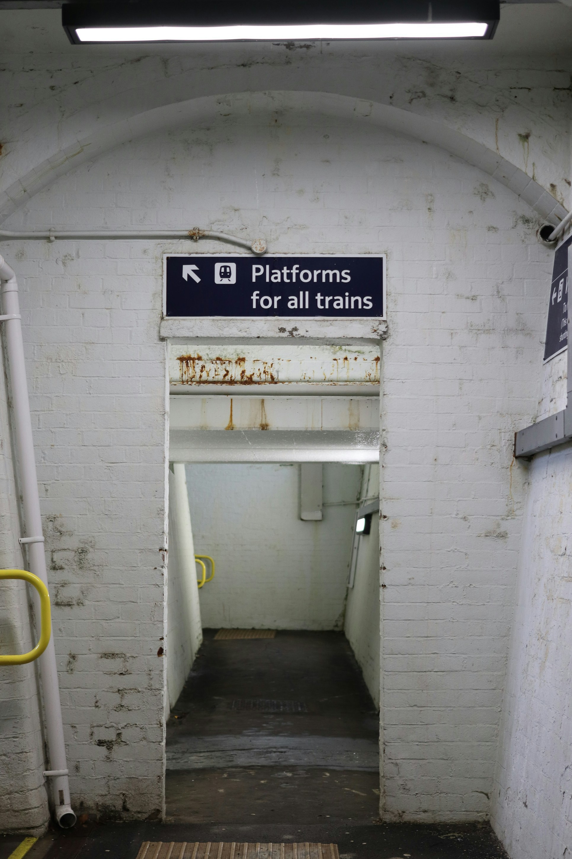 Descent into the Quiet Tunnel: Platforms of All Trains