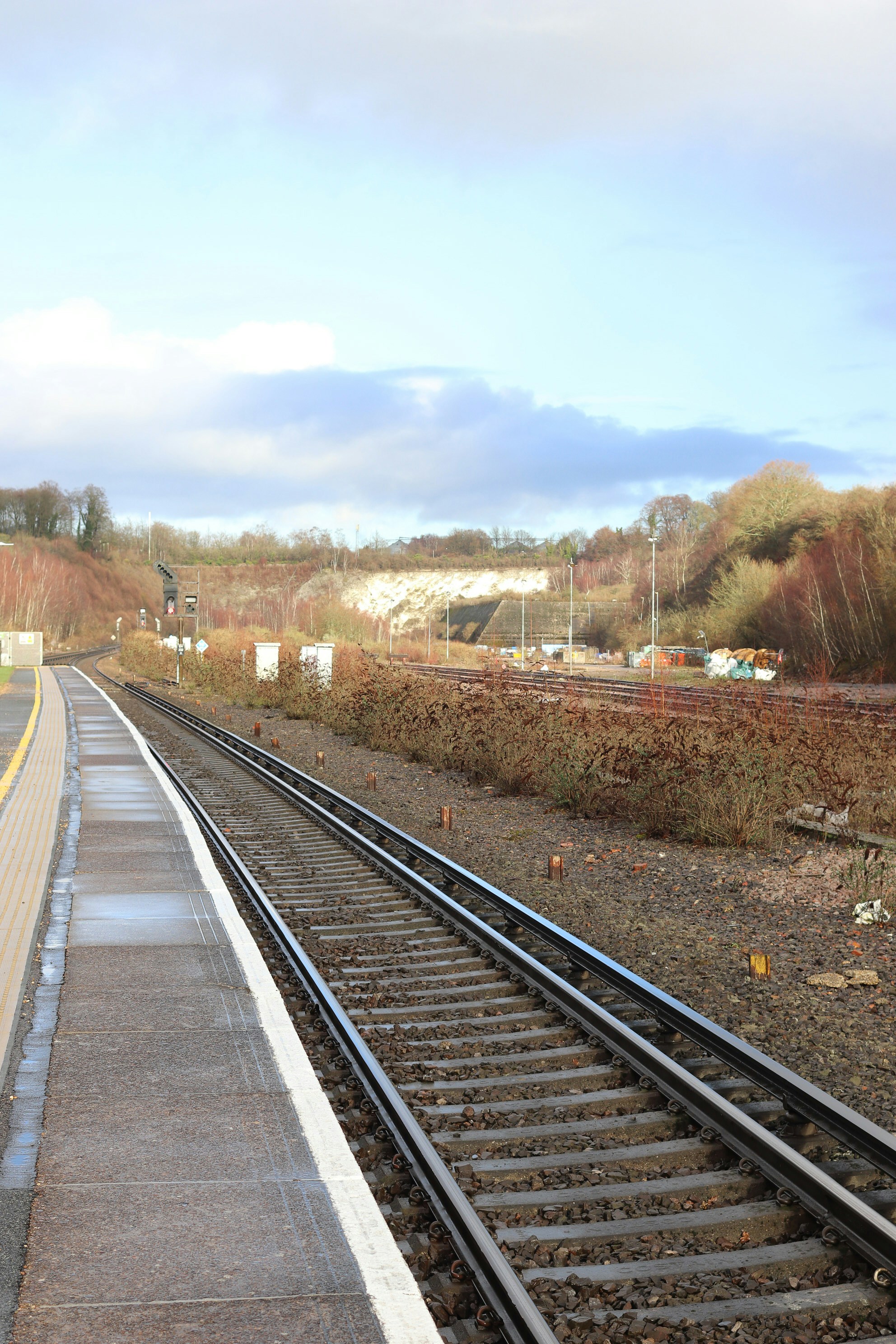 Rails Converge Toward the Tree Line Under Soft Winter Light