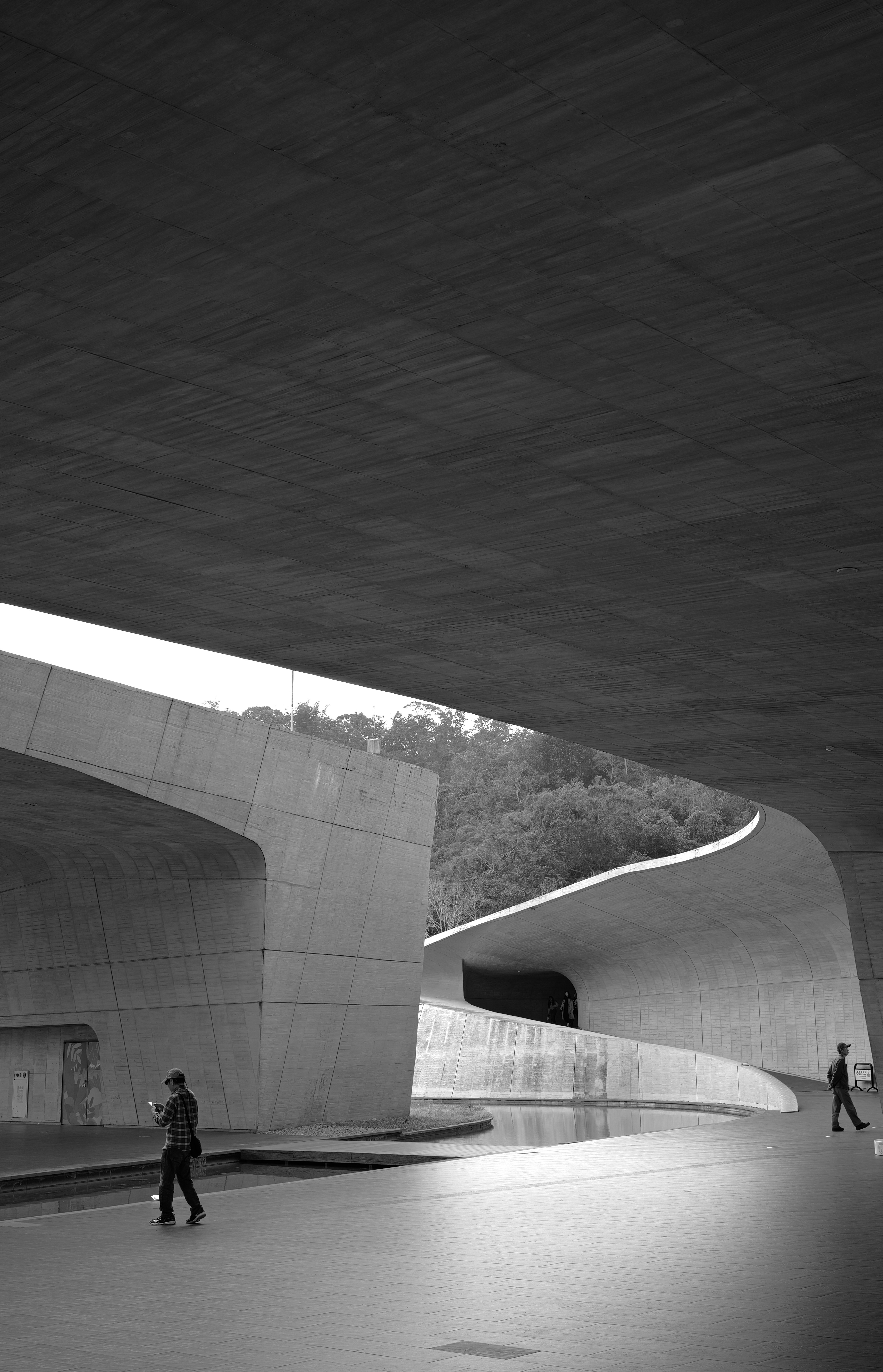 Arched Pathways: Concrete Curves under a Quiet Sky