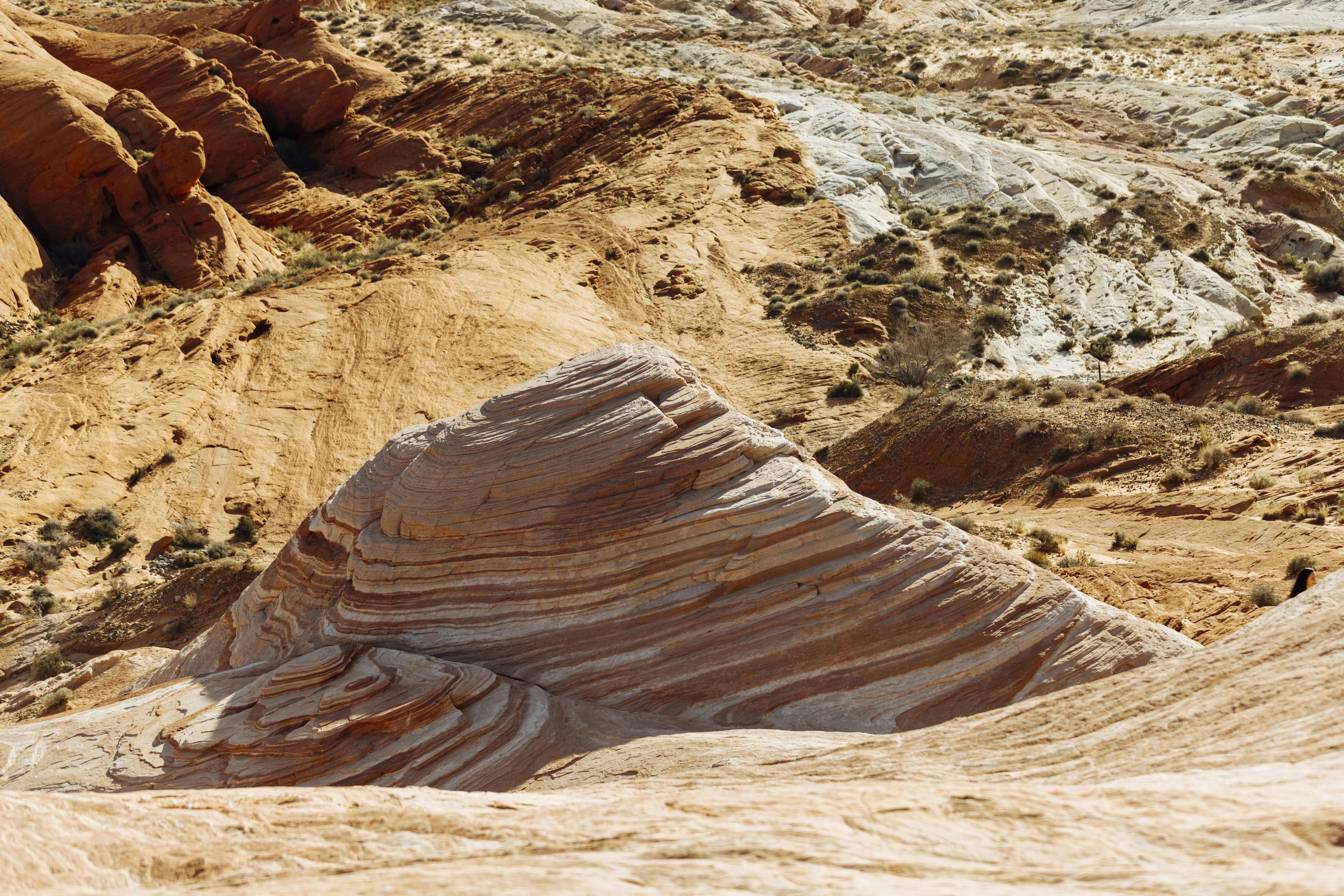 Curved Strata in the Desert: A Study in Sandstone Ridges