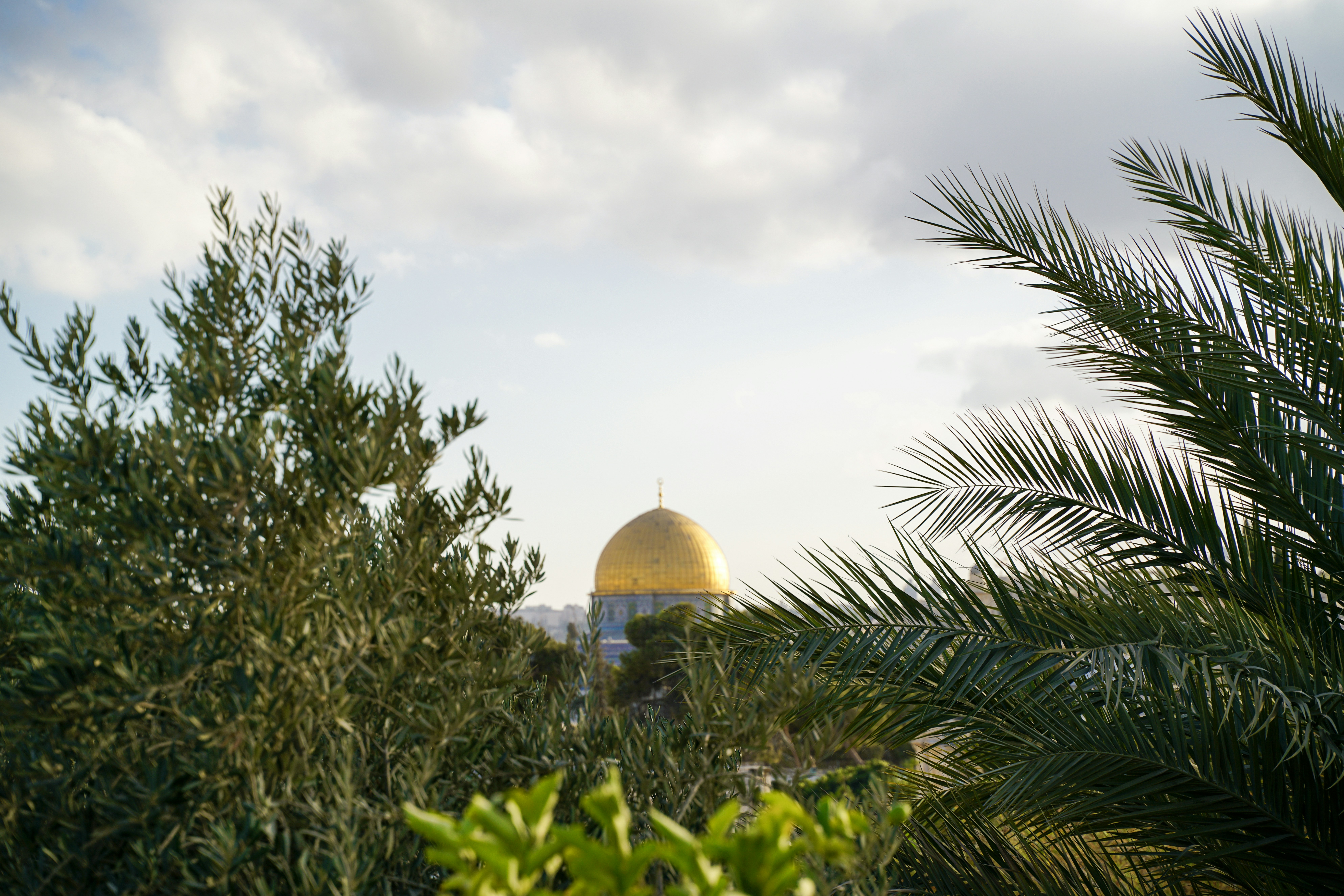 Gilded Dome Beyond Green Fronds