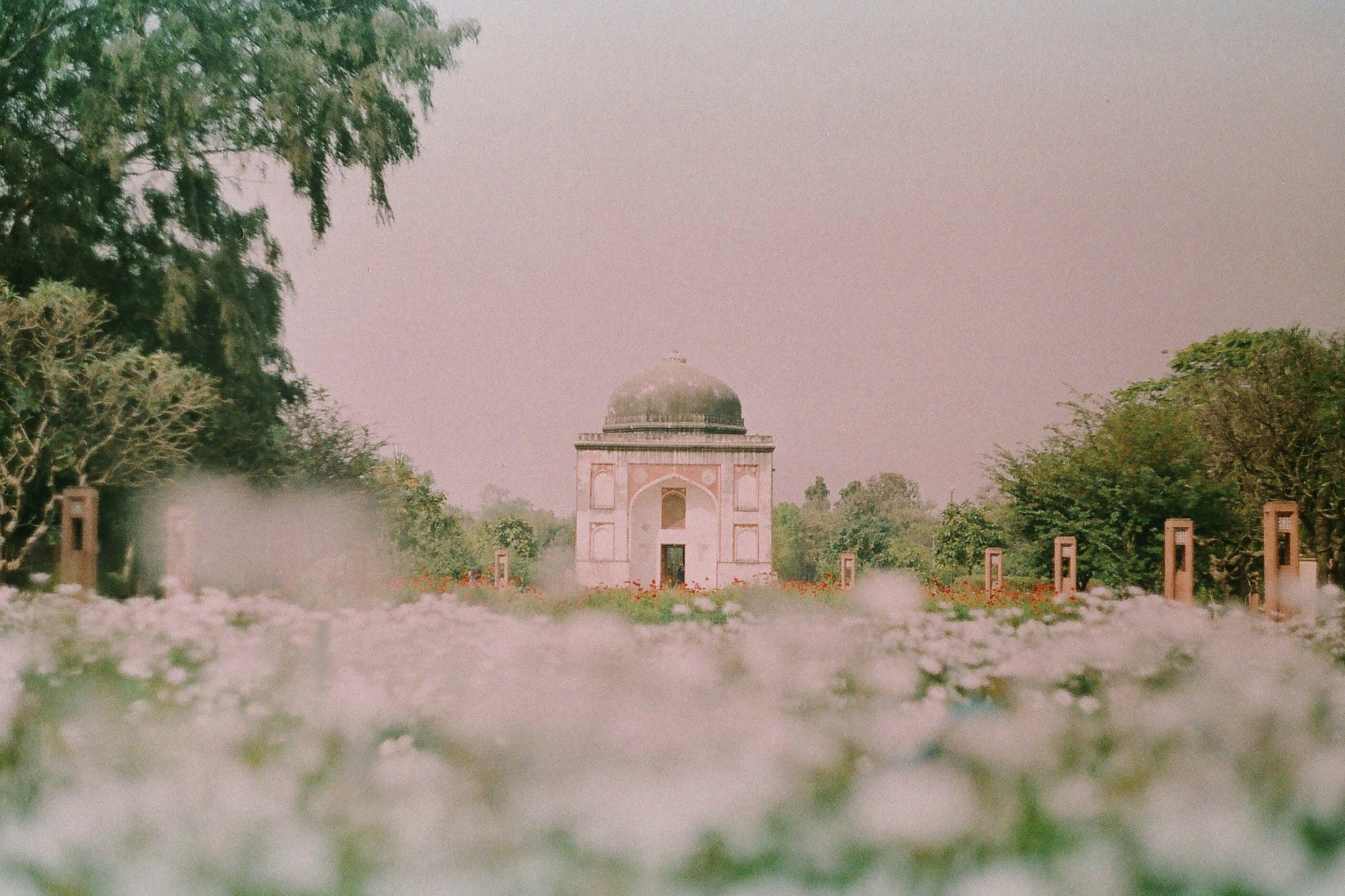 Ancient tomb surrounded by trees and overgrown field photo – Free ...