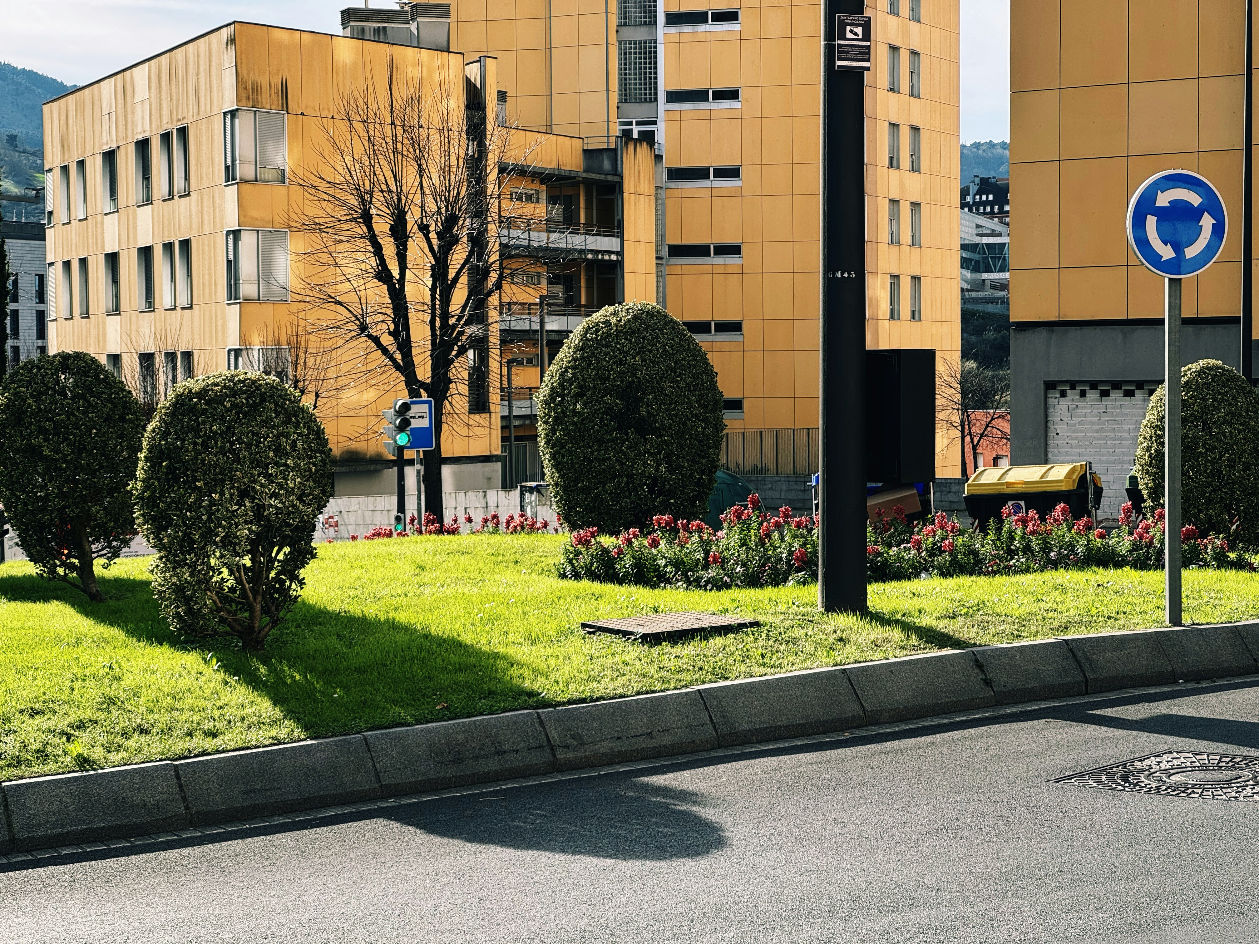 Sunlit courtyard with clipped hedges beside mustard-yellow office blocks