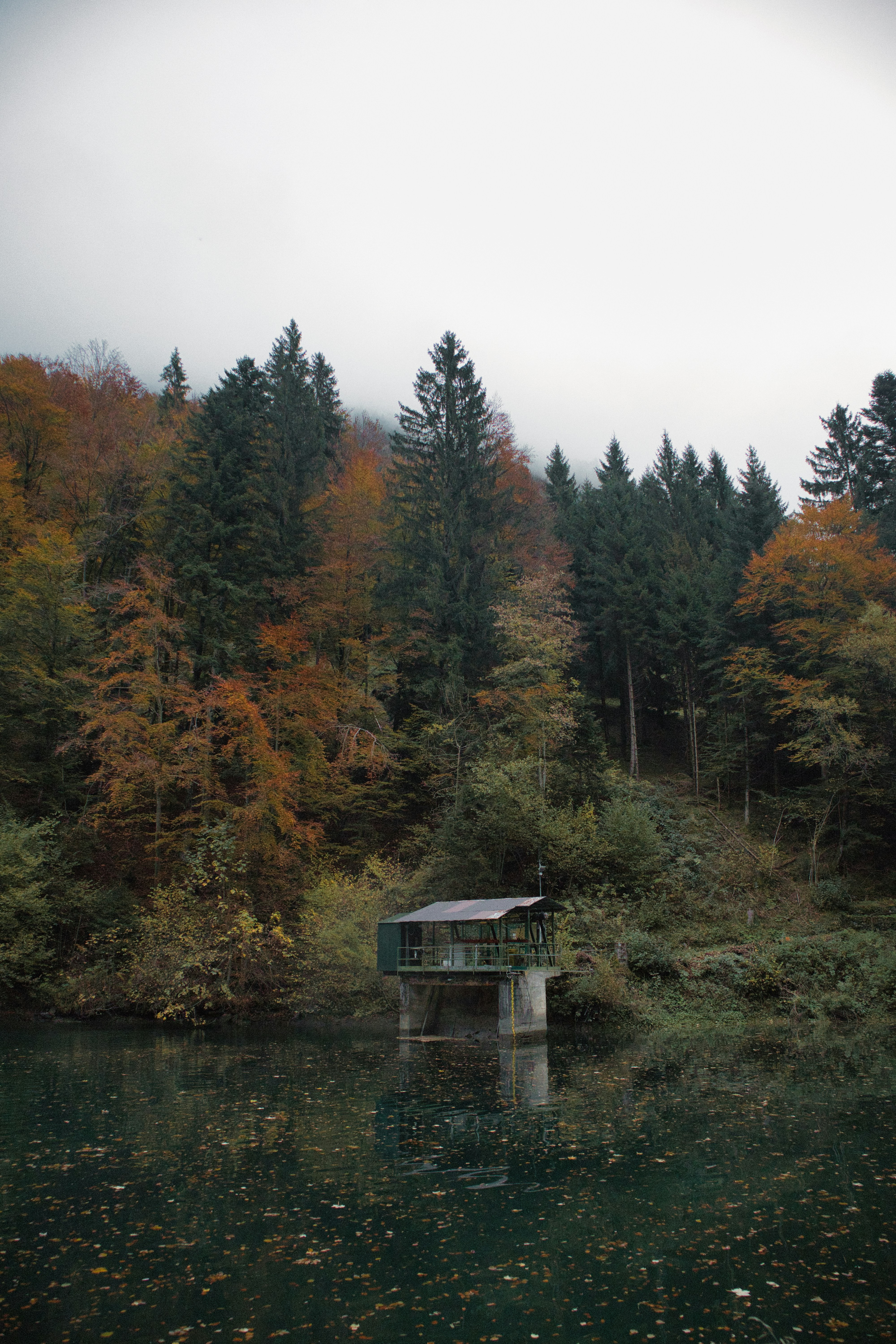 Autumn Lakehouse Quietude