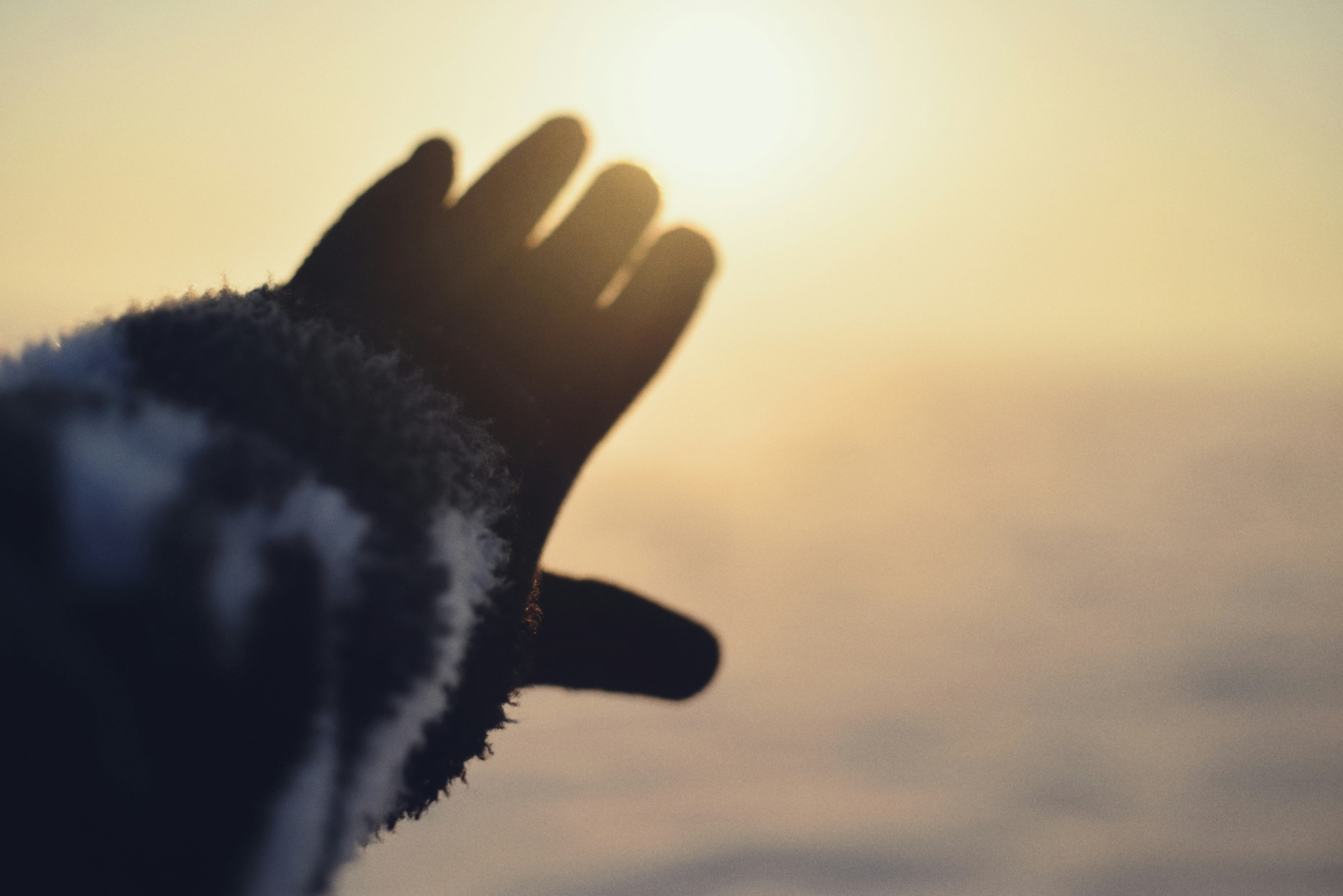Sunrise Reach: A Gloved Hand Against a Golden Horizon
