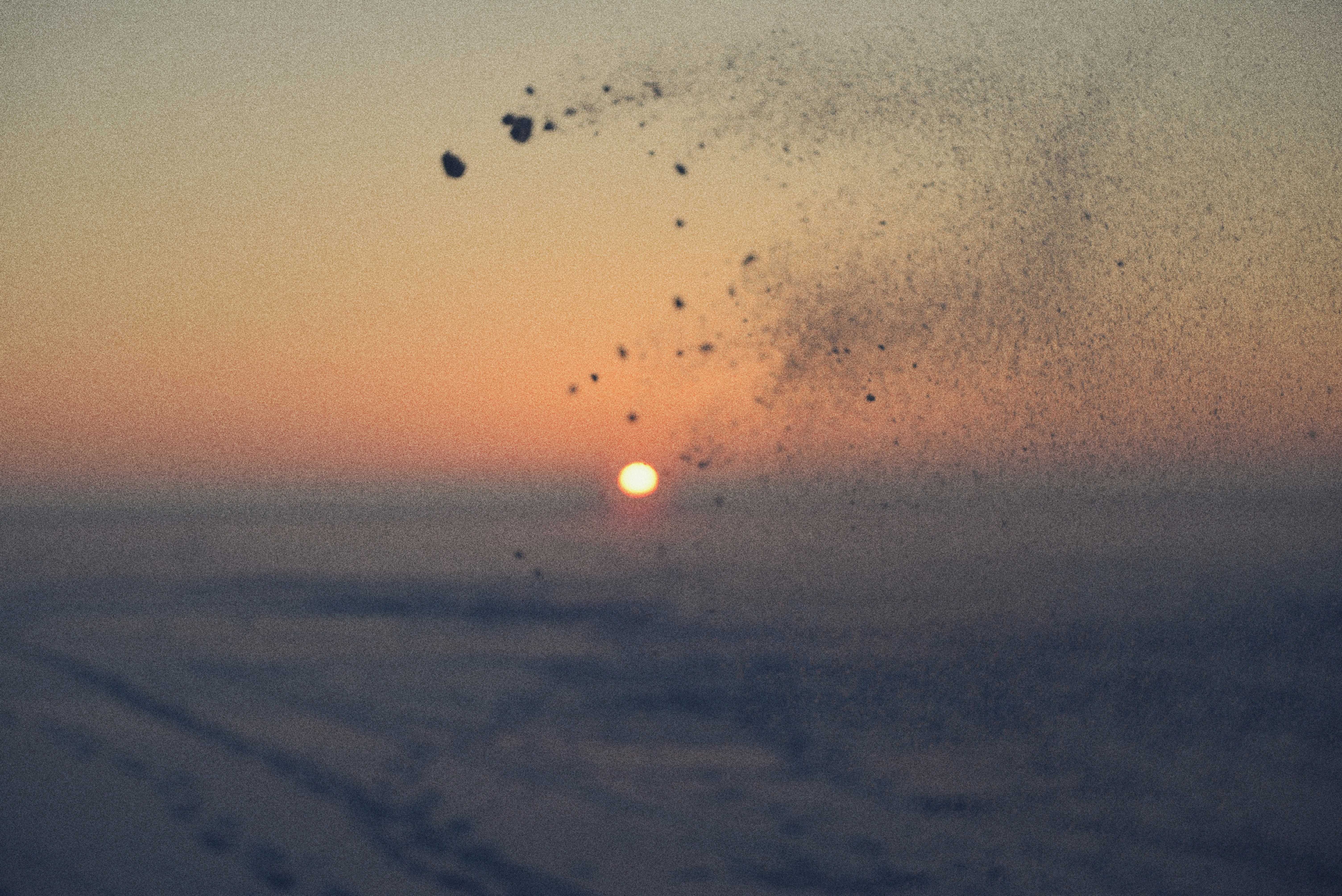 Dawn over the drifting horizon as a sunlit mist disperses into the distance