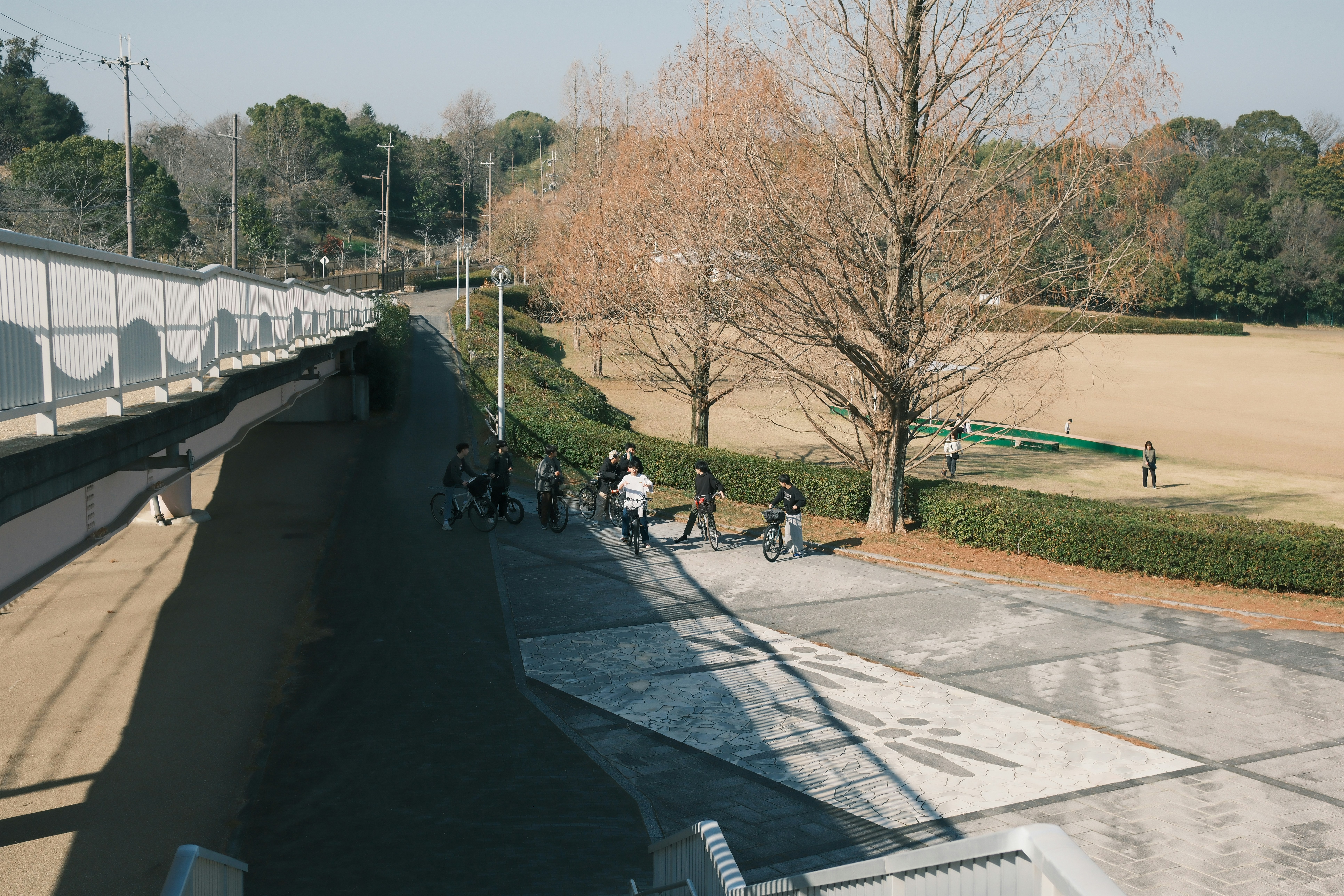 Beneath the Bridge: A Quiet Scene of Cyclists and Parkland
