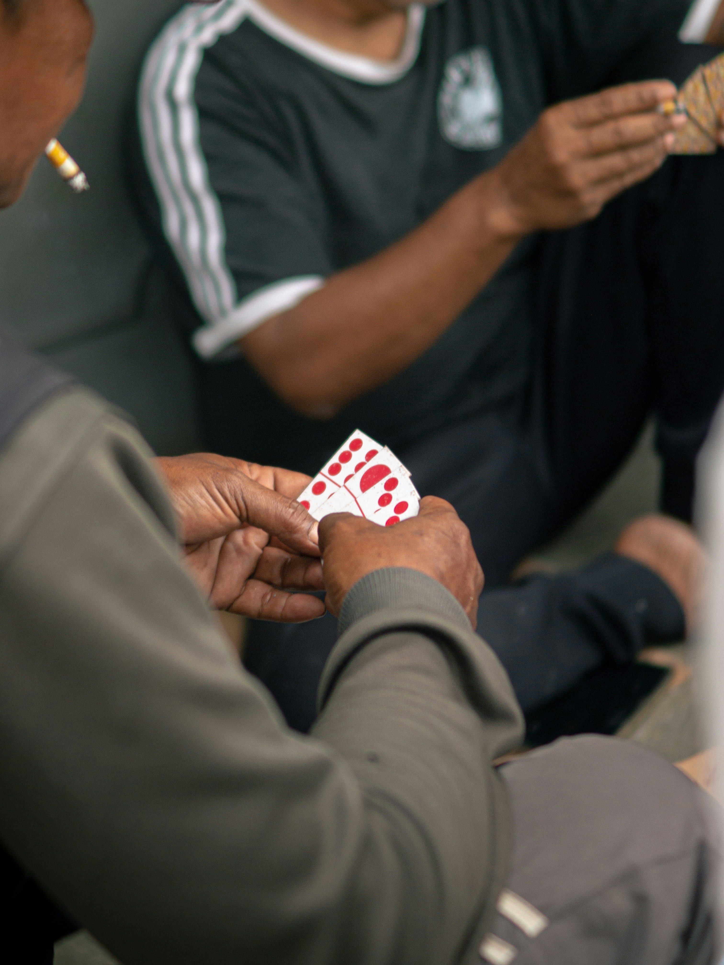 OLYMPUS DIGITAL CAMERA