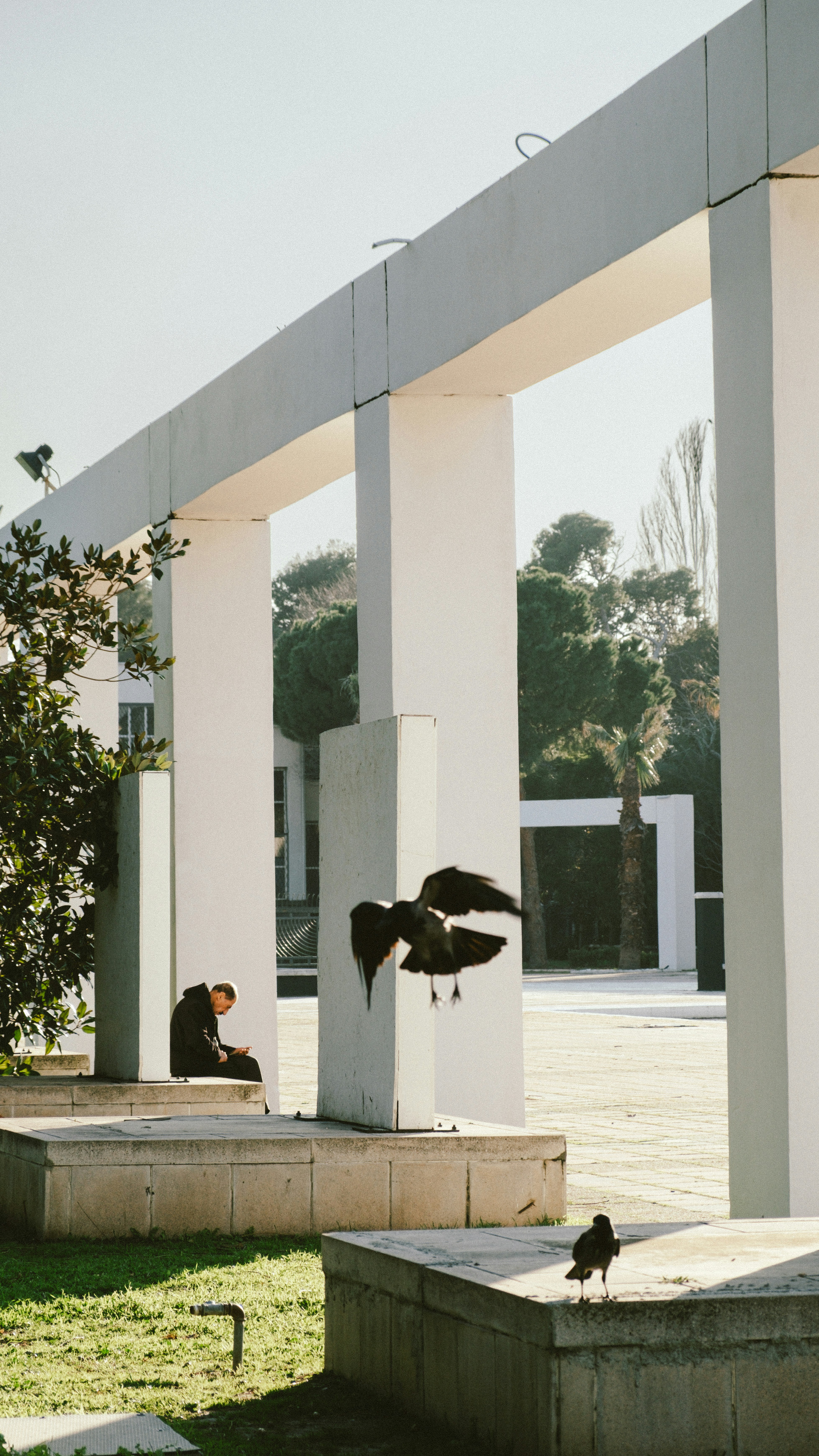 Quiet Courtyard with Falling Bird
