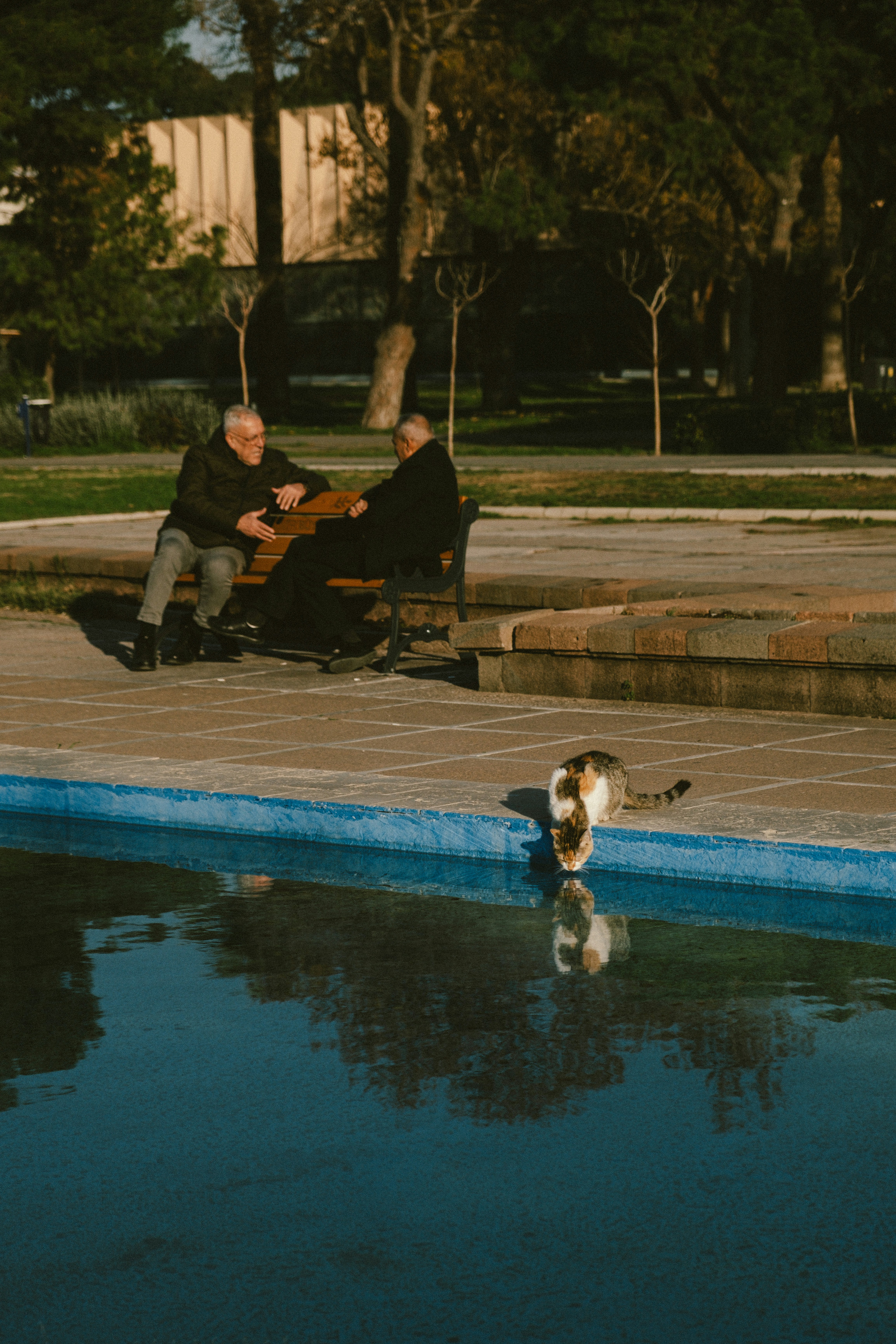 Conversations by the Pool: Quiet moments near the edge of the water