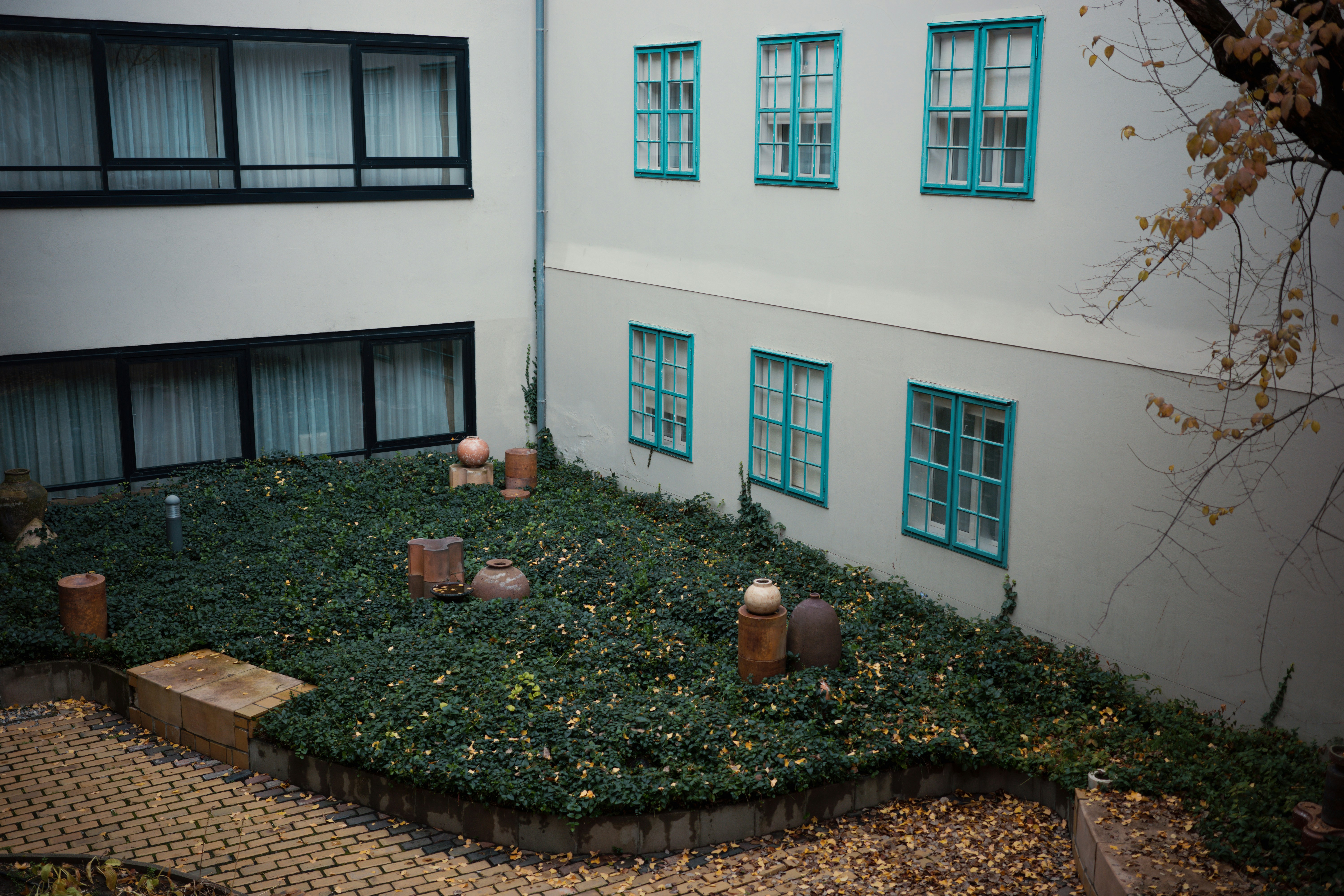 Hidden Courtyard Garden Under Quiet Windows