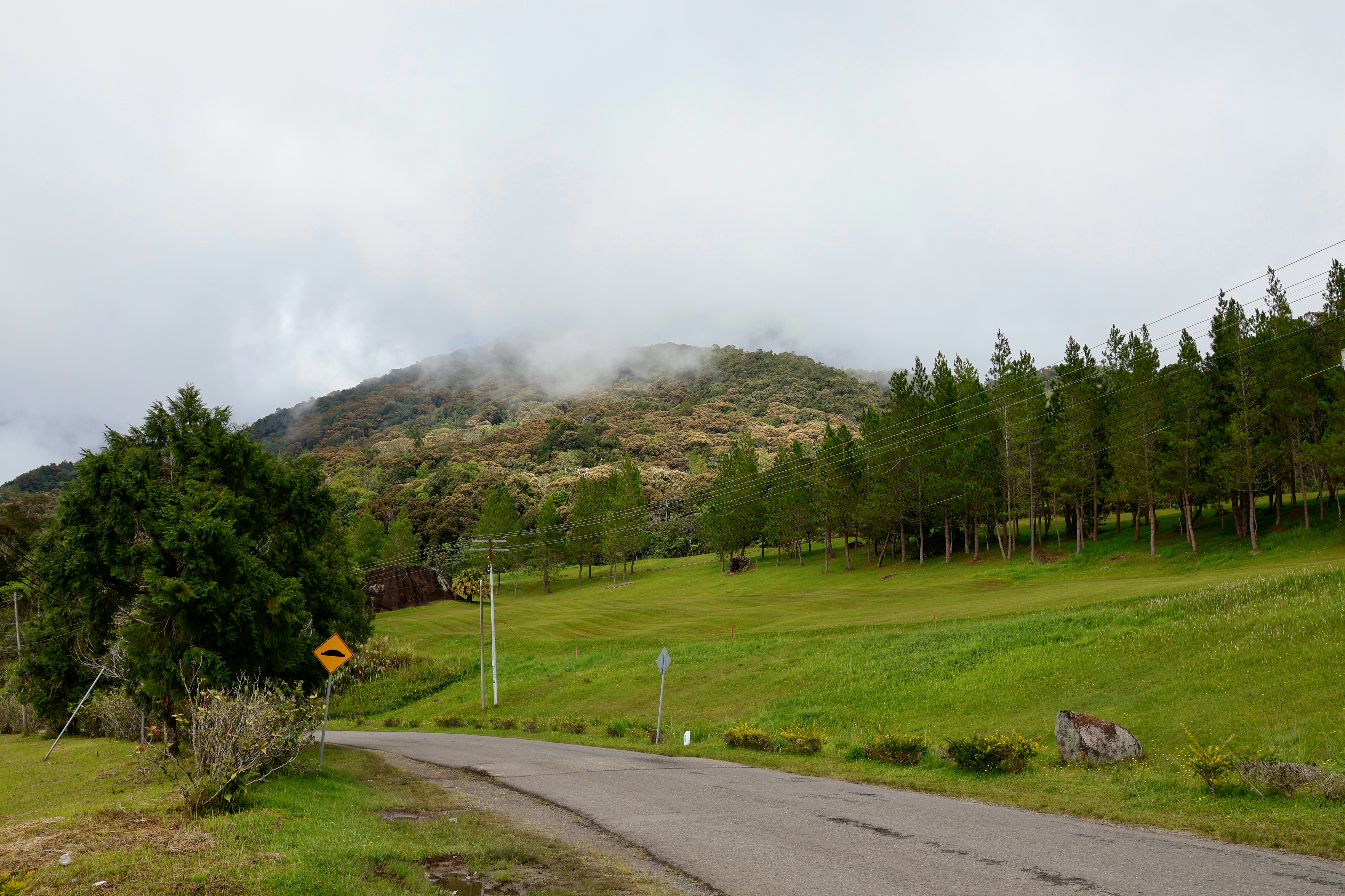 Road Through a Misty Green Plateau