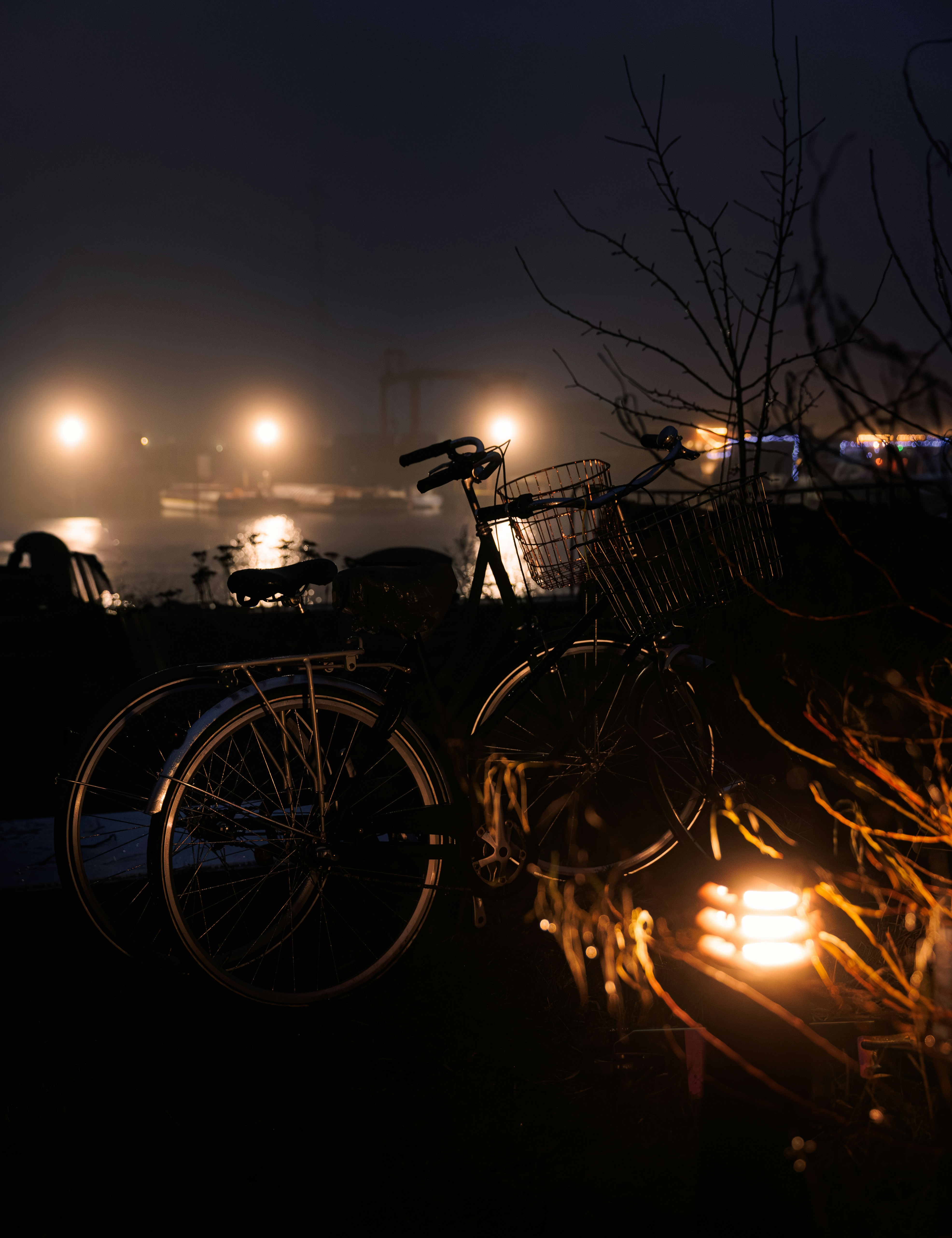 Night Harbor: Bicycles Silhouetted Against Neon Docks