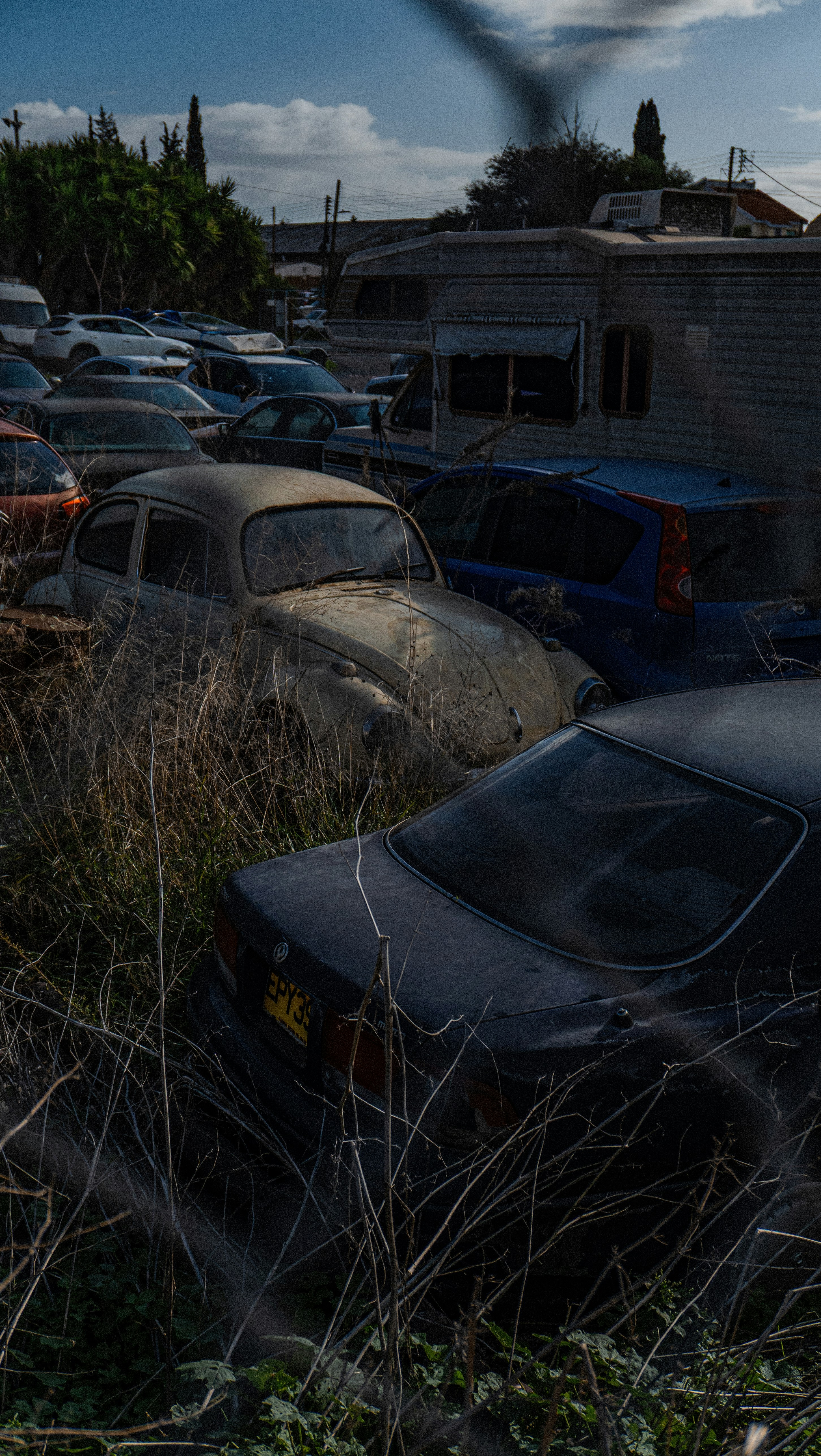 Dusty Car Graveyard Under Overcast Sky