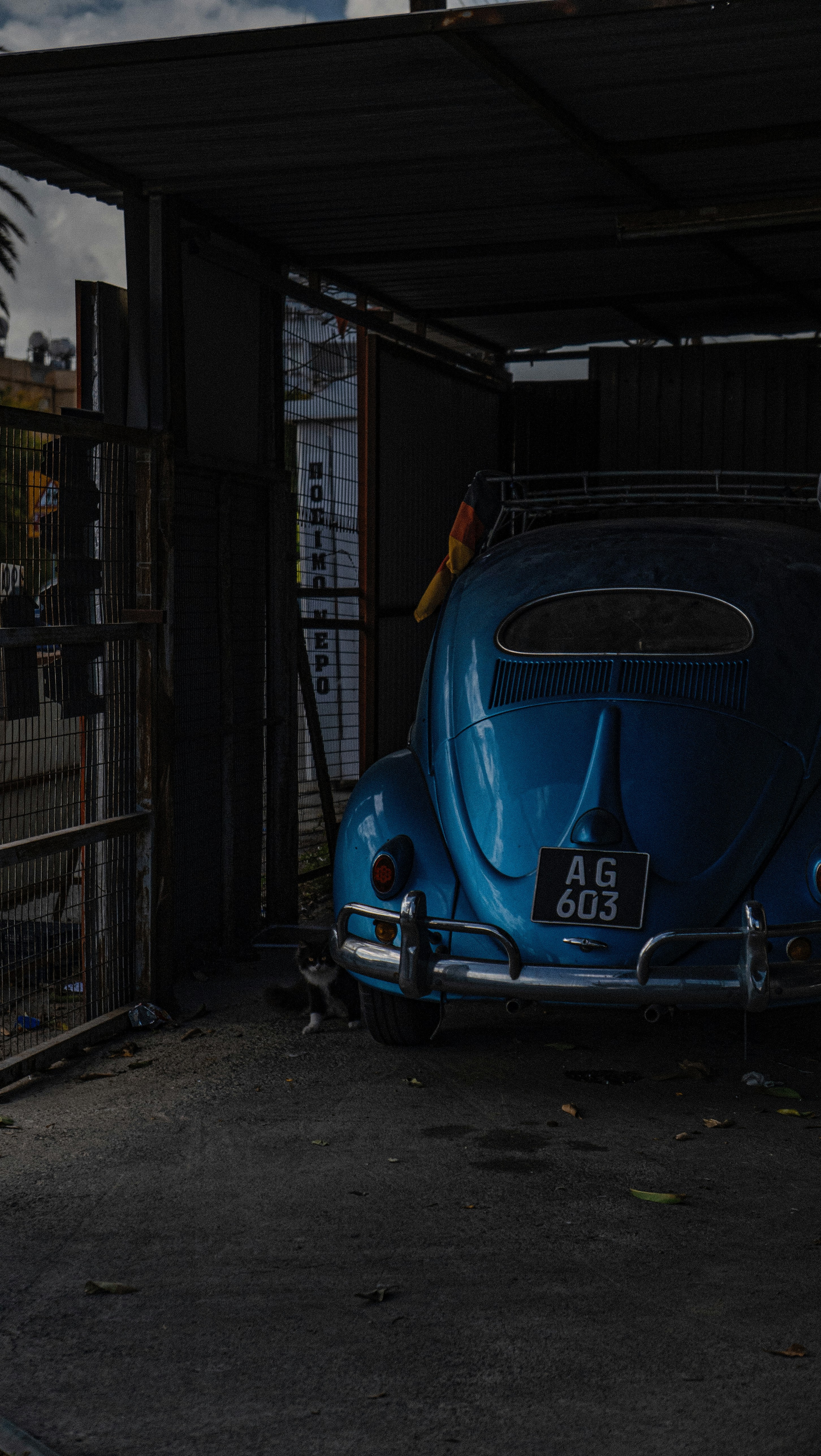 Blue Beetle in the Shadowed Garage